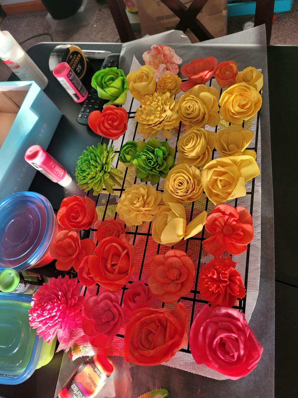 50 Random Assortment - No Bark – Sola-Flowers