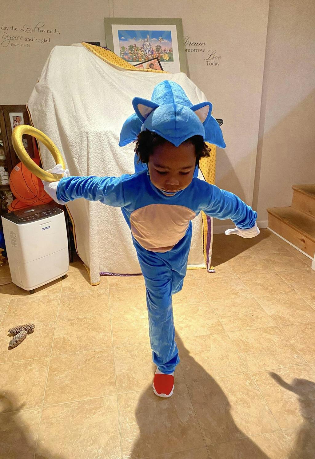 Shadow The Hedgehog Shoes -Sonic Shadow Shoes