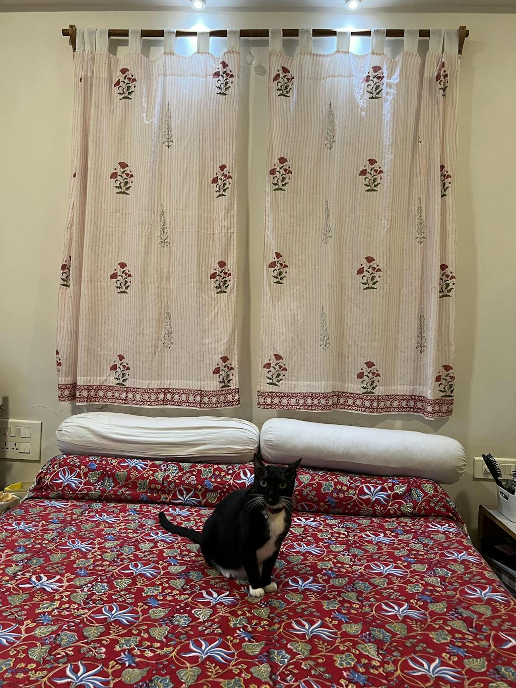 Mul Mul Cotton Sarees Online | SootiSyahi