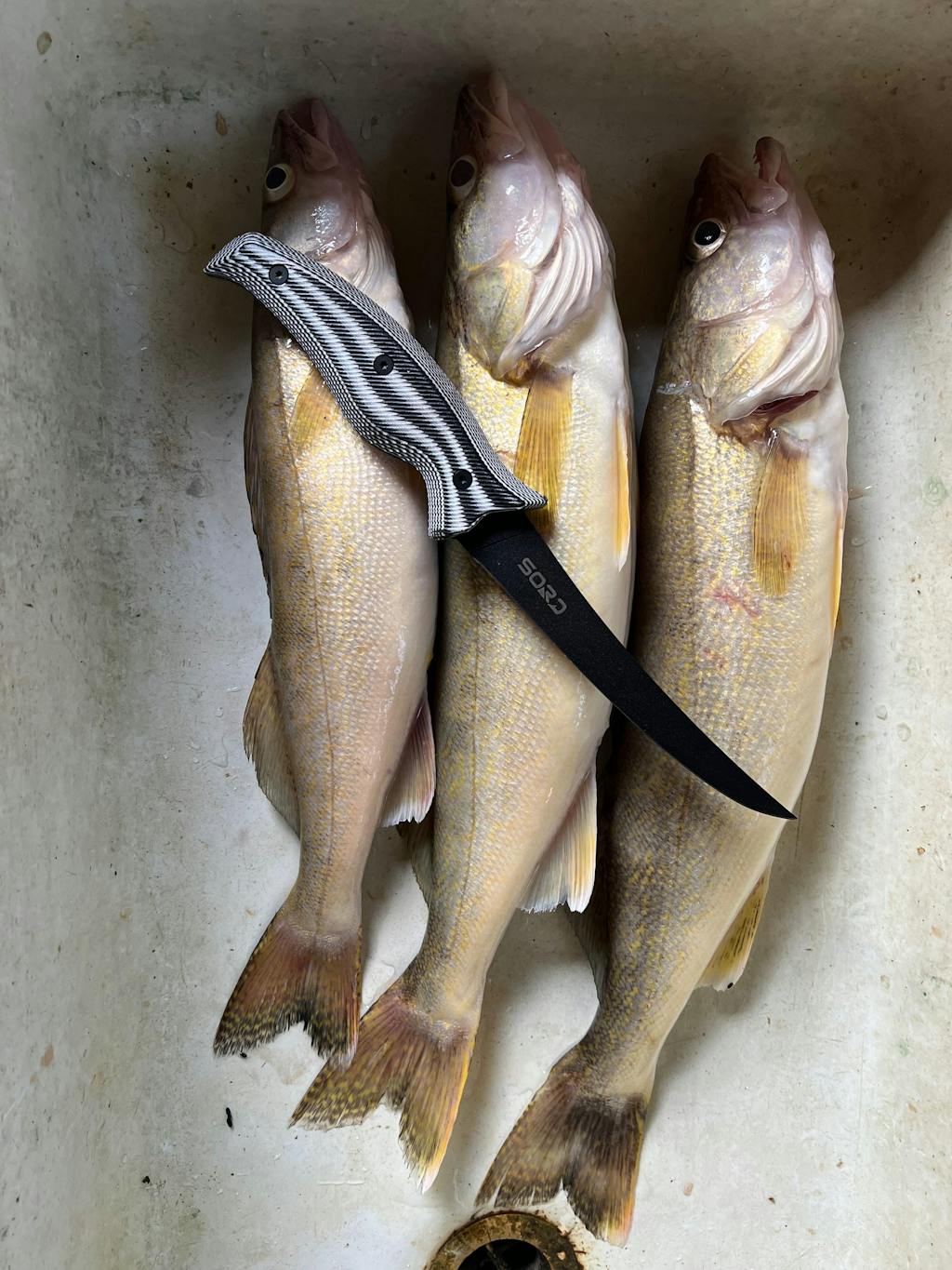 Fillet Knives | SORD Fishing Products