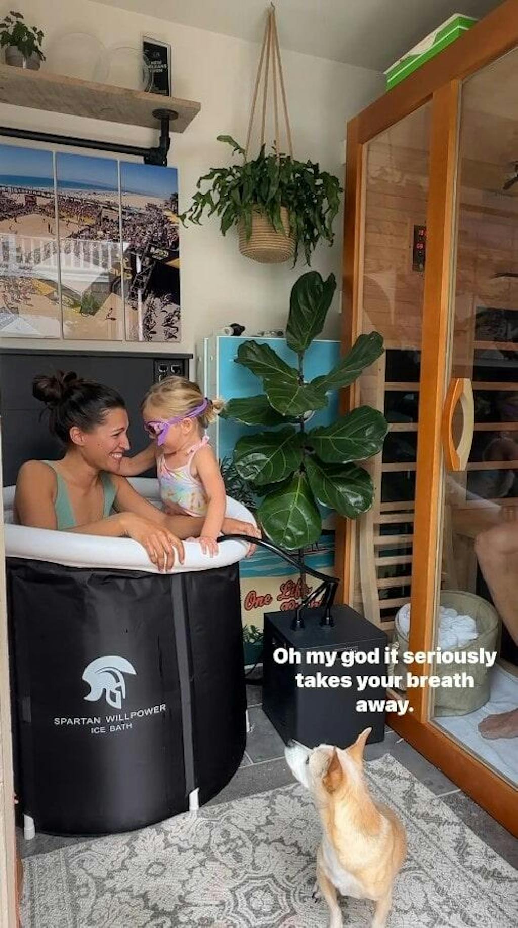 Spartan Portable Water Chiller Ice Bath Combo – Warrior Willpower