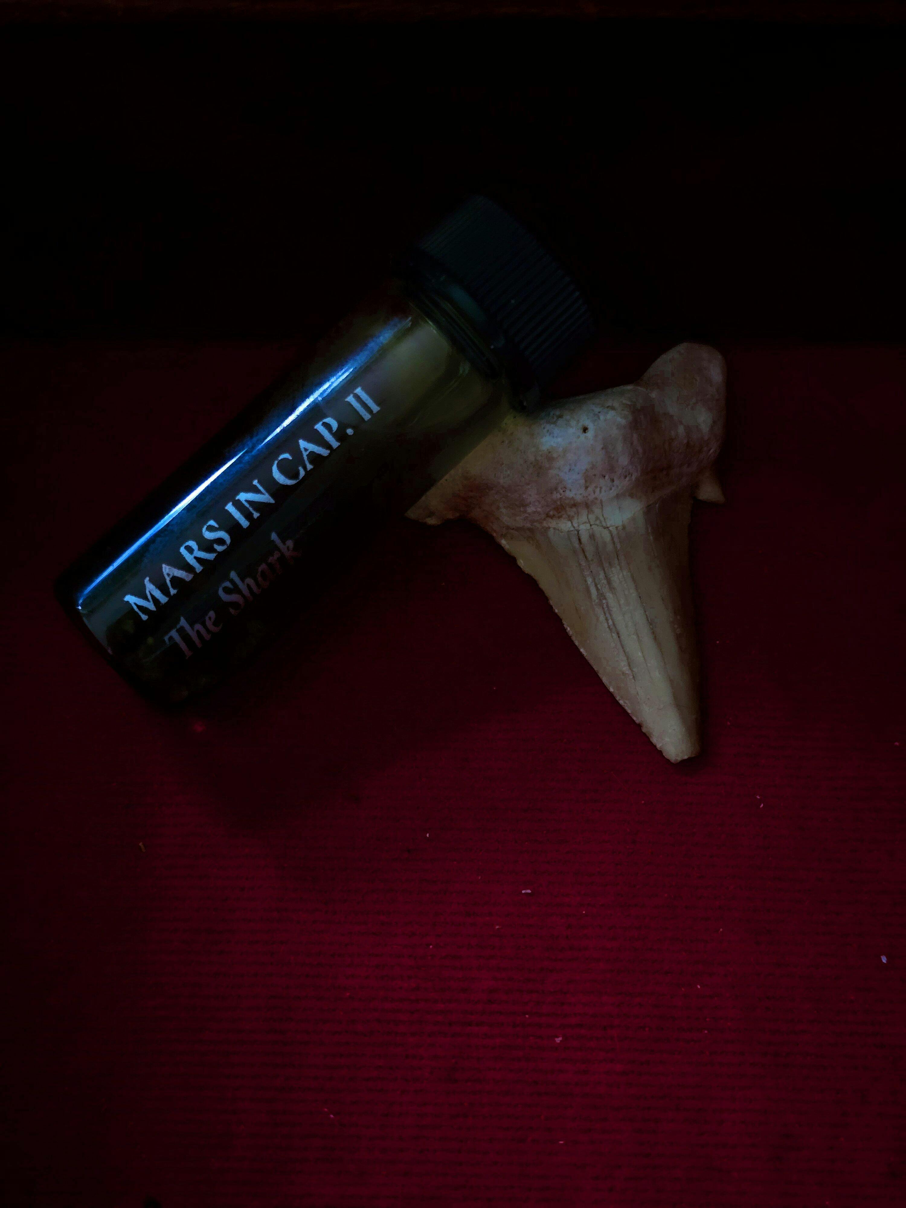 The Shark Subset - Sphere + Sundry