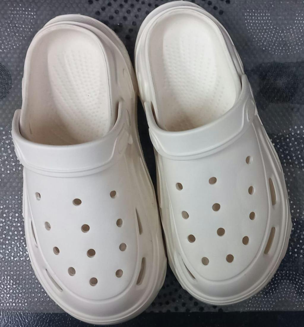 Darwin Slides – Spiffers