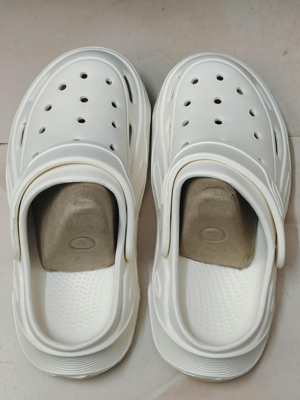 Darwin Slides – Spiffers