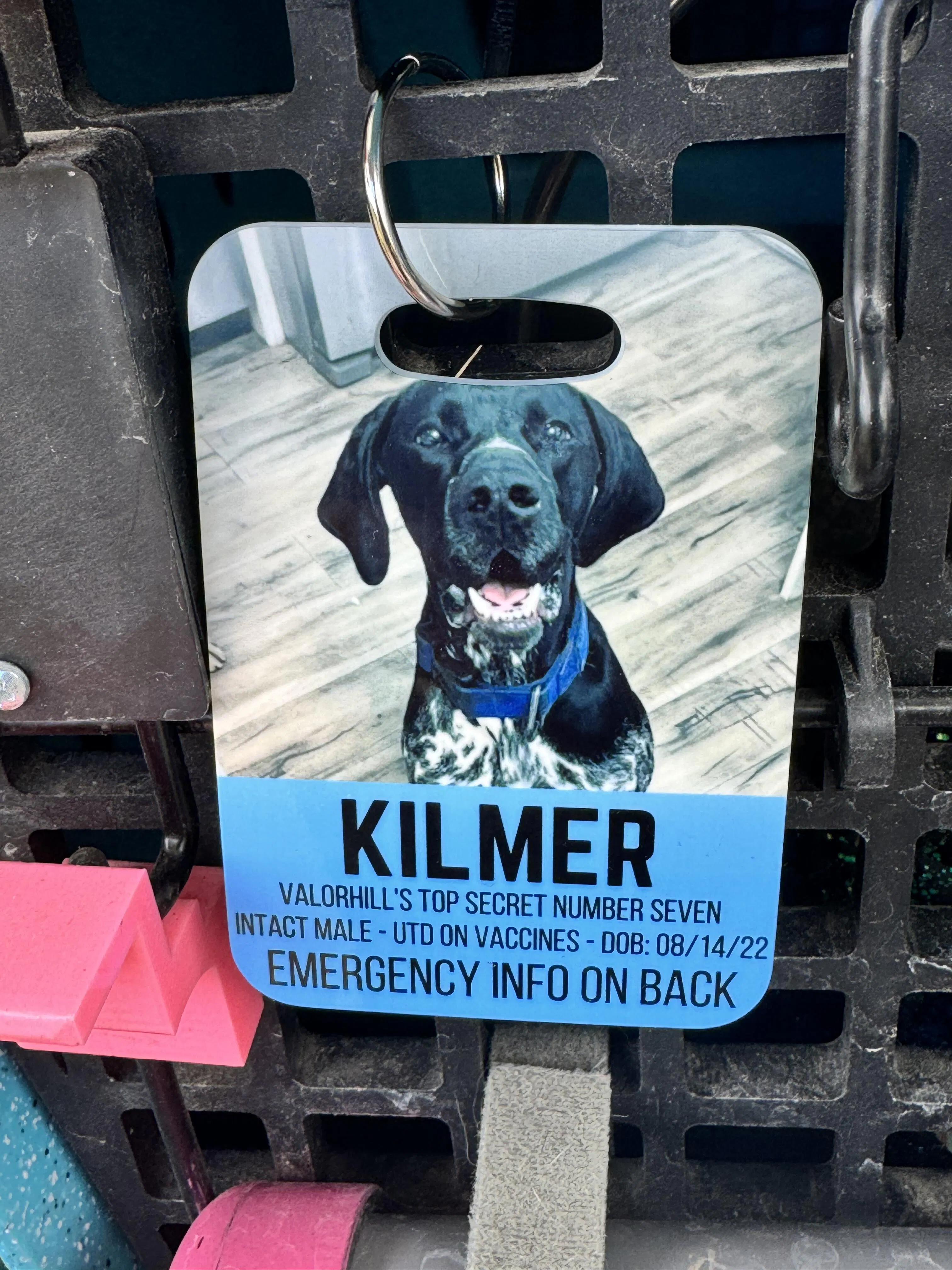 Emergency Info Crate Tag – Spoiled Dog Co.