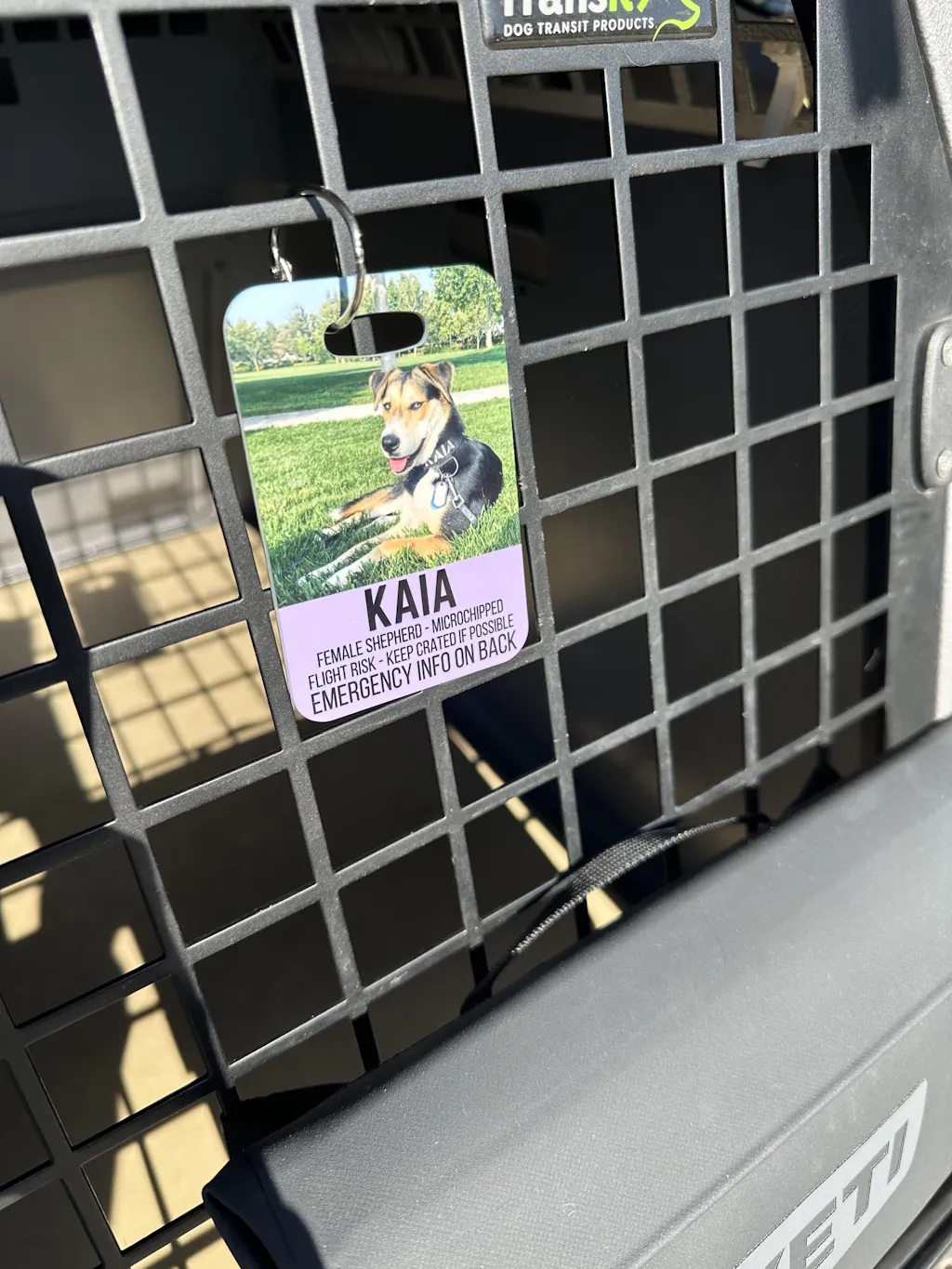 Emergency Information Crate Tag – Spoiled Dog Co.