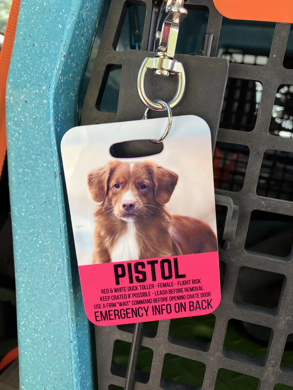 FINAL SALE: Emergency Information Crate Tag – Spoiled Dog Co.