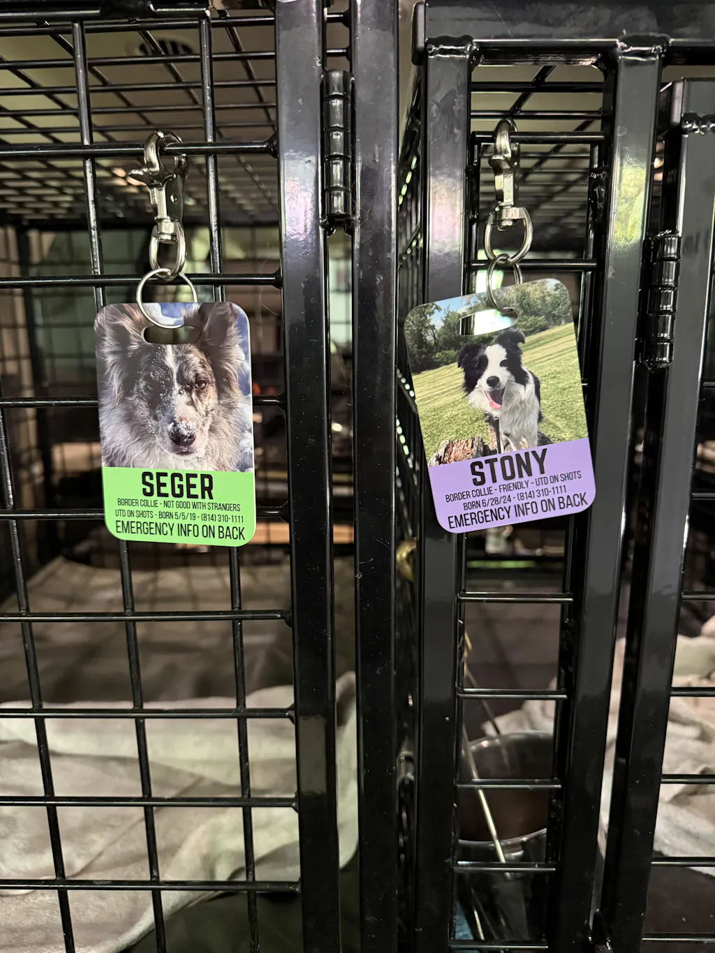 Emergency Information Crate Tag – Spoiled Dog Co.
