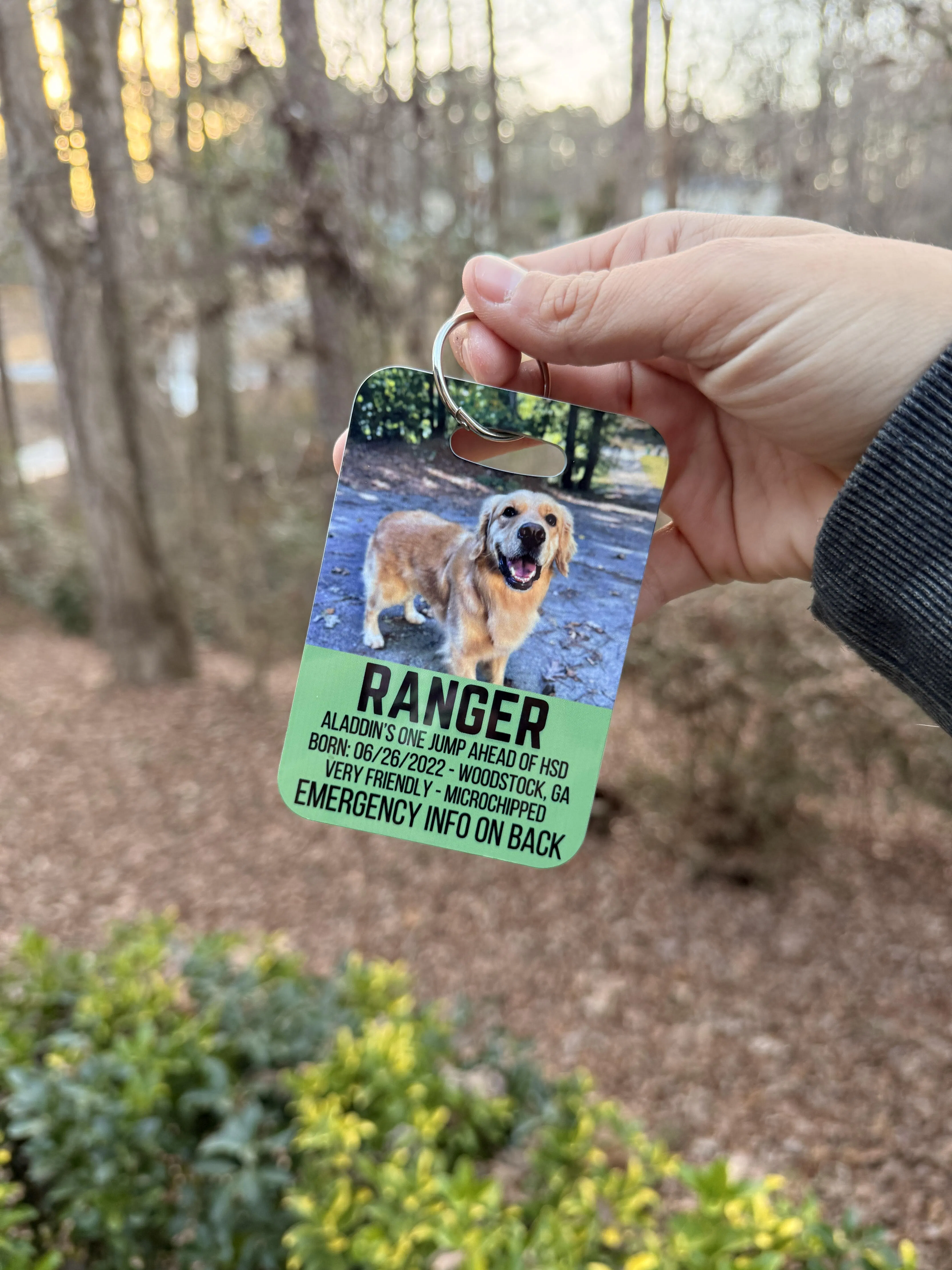 Emergency Information Crate Tag – Spoiled Dog Co.