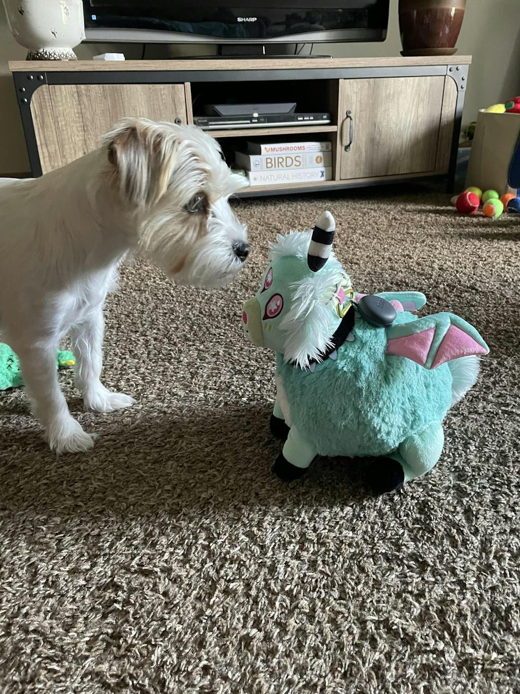Mini Squishable Pastel Demon