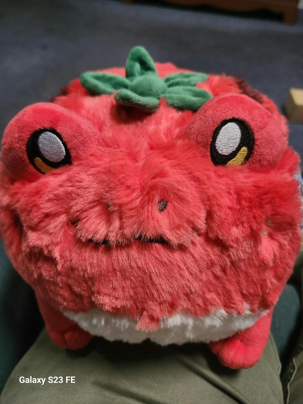 Mini Squishable Tomatoad