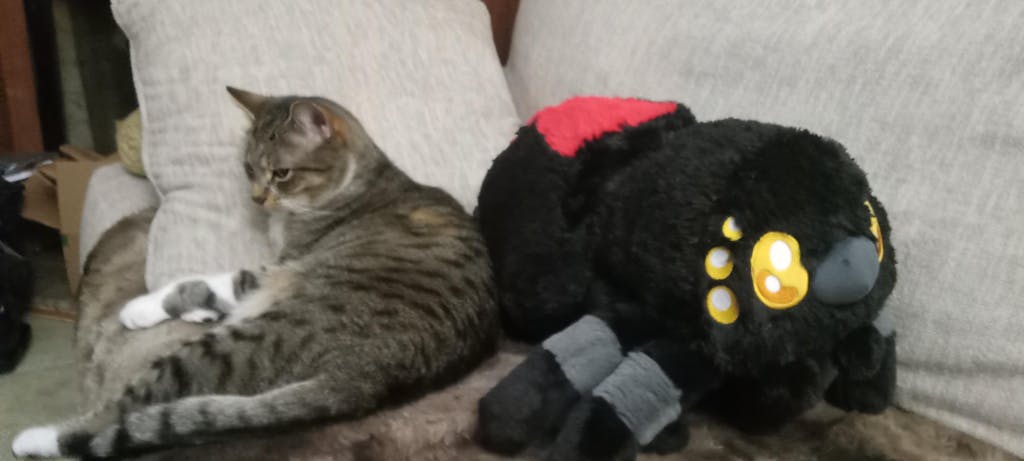 Squishable Black Widow