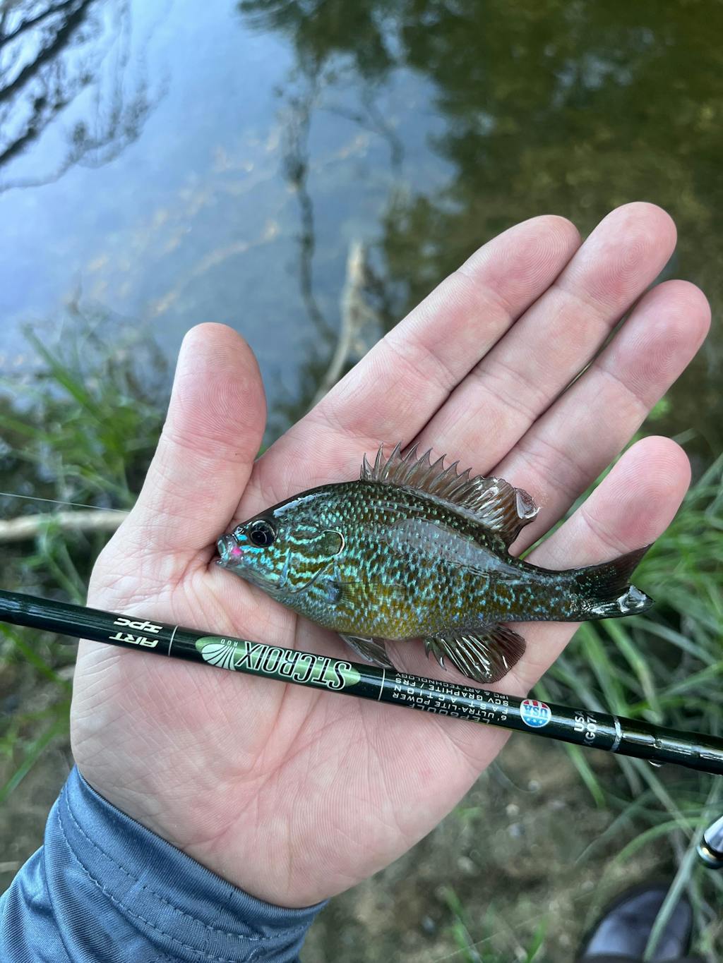 LEGEND ELITE® PANFISH - St. Croix Rod