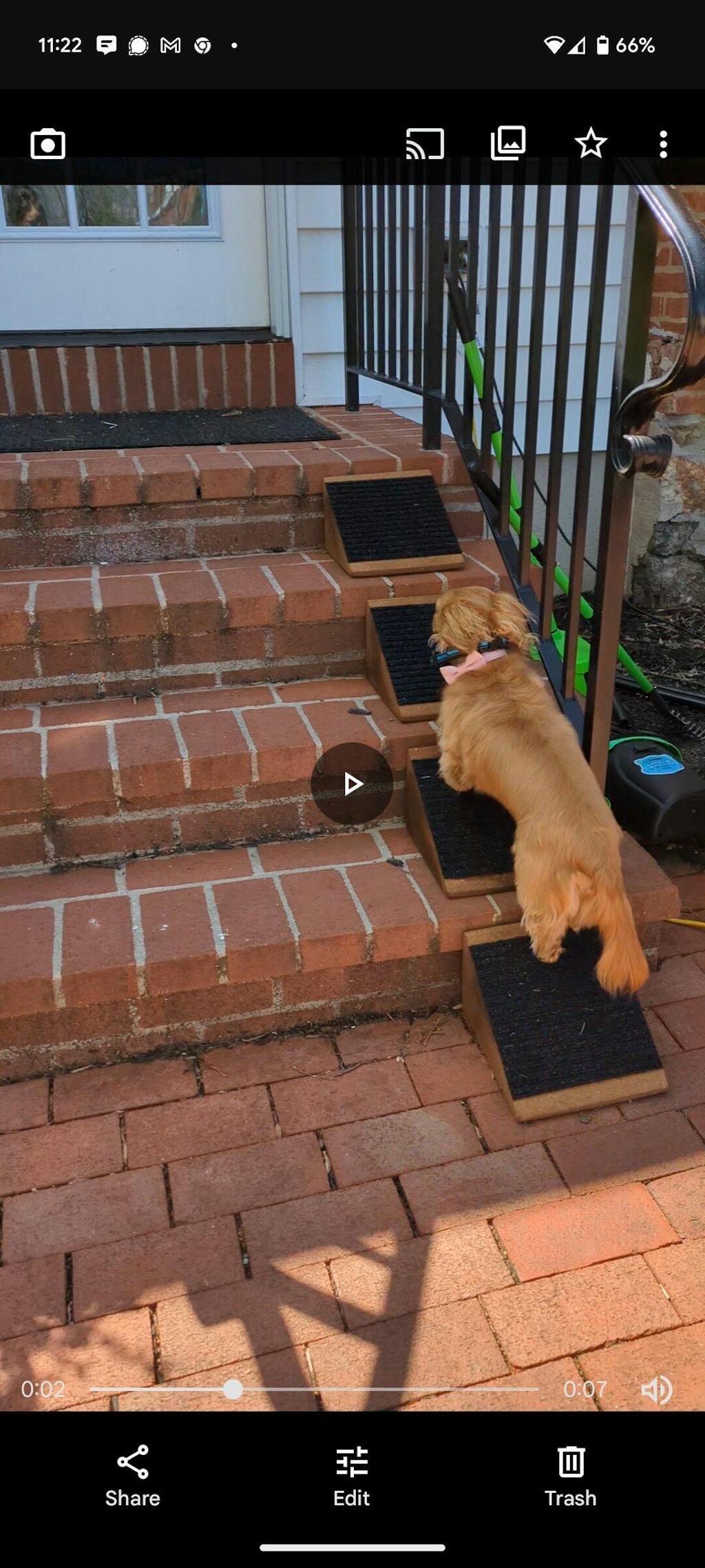 Stairwedge - Dog Ramp for Small Dogs - Versatile Stair Ramp for Any St