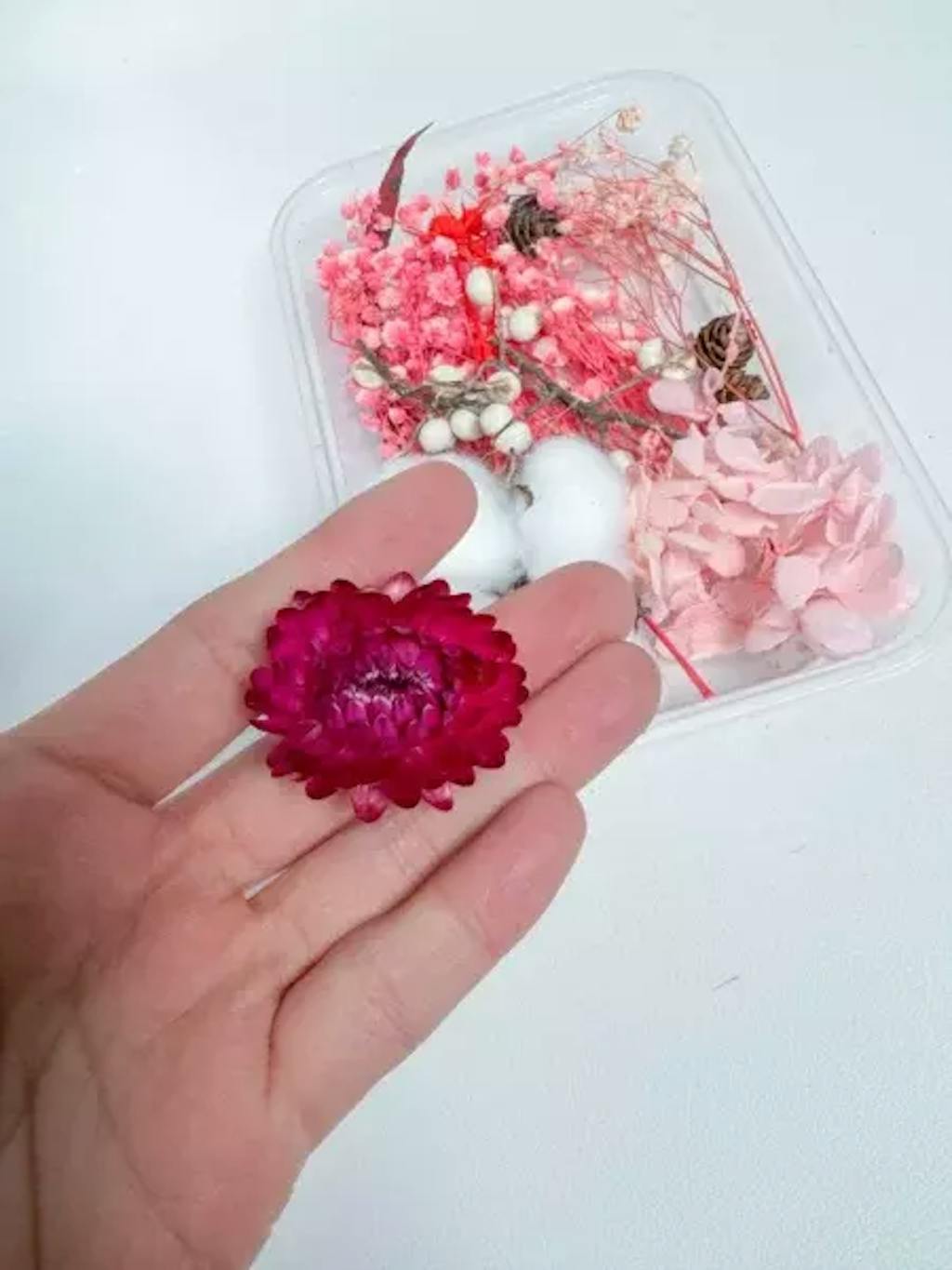 Natural Air-Dried Flower Box Set | Preserved Floral Material | Stamprints