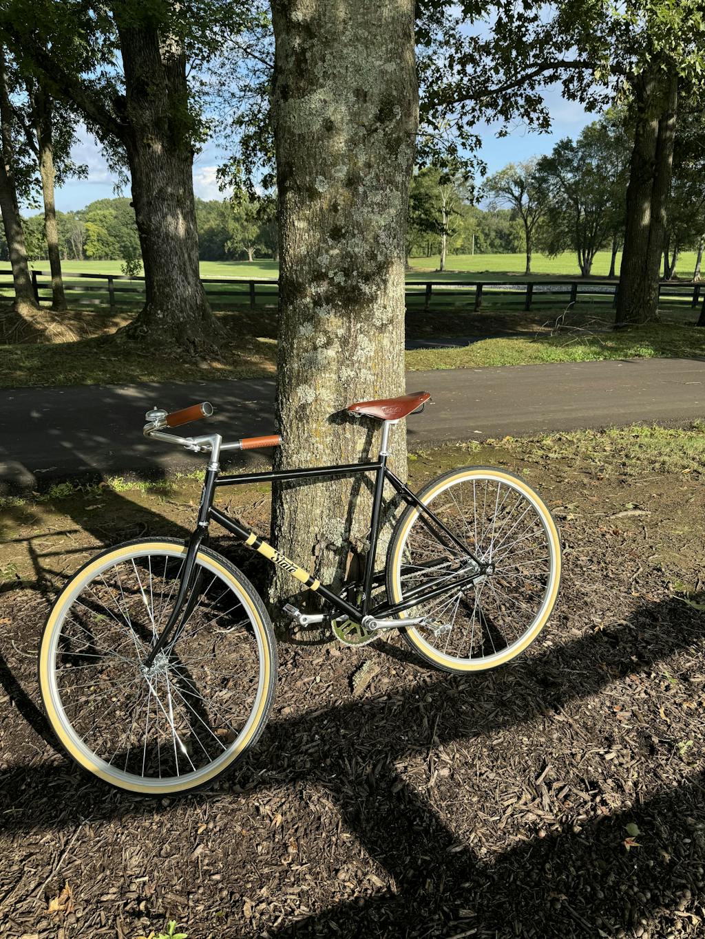 The Black & Tan : City Bikes & Dutch Bicycles | State Bicycle Co.