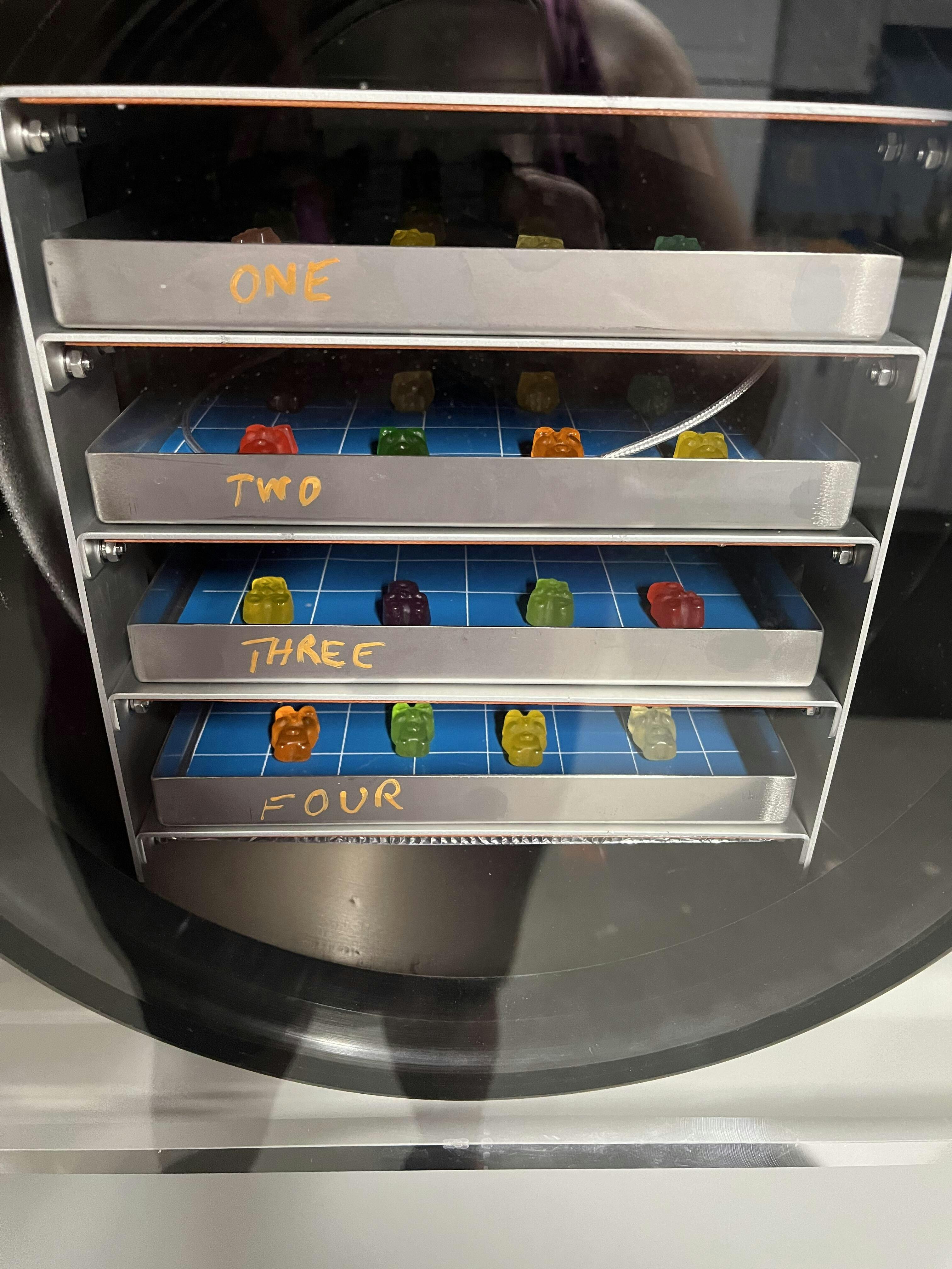 Freeze Dryer – Stay Fresh Freeze Dryer