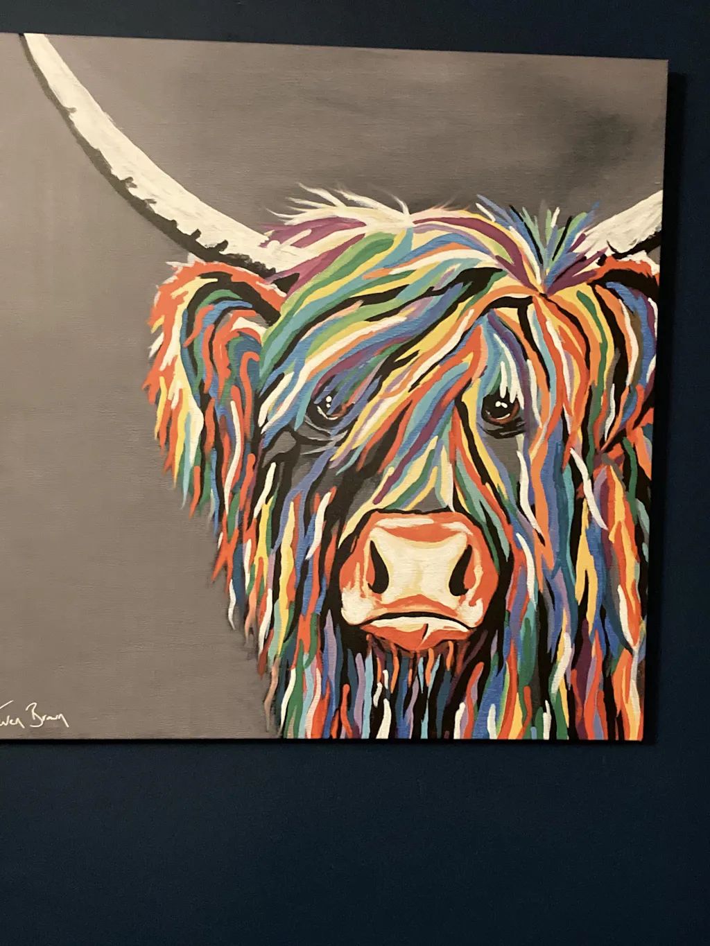 Rab McCoo Colourful Highland Cow Canvas | Steven Brown Art