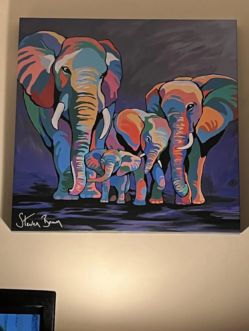 Allan & Jackie McZoo Colourful Elephant Canvas | Steven Brown Art