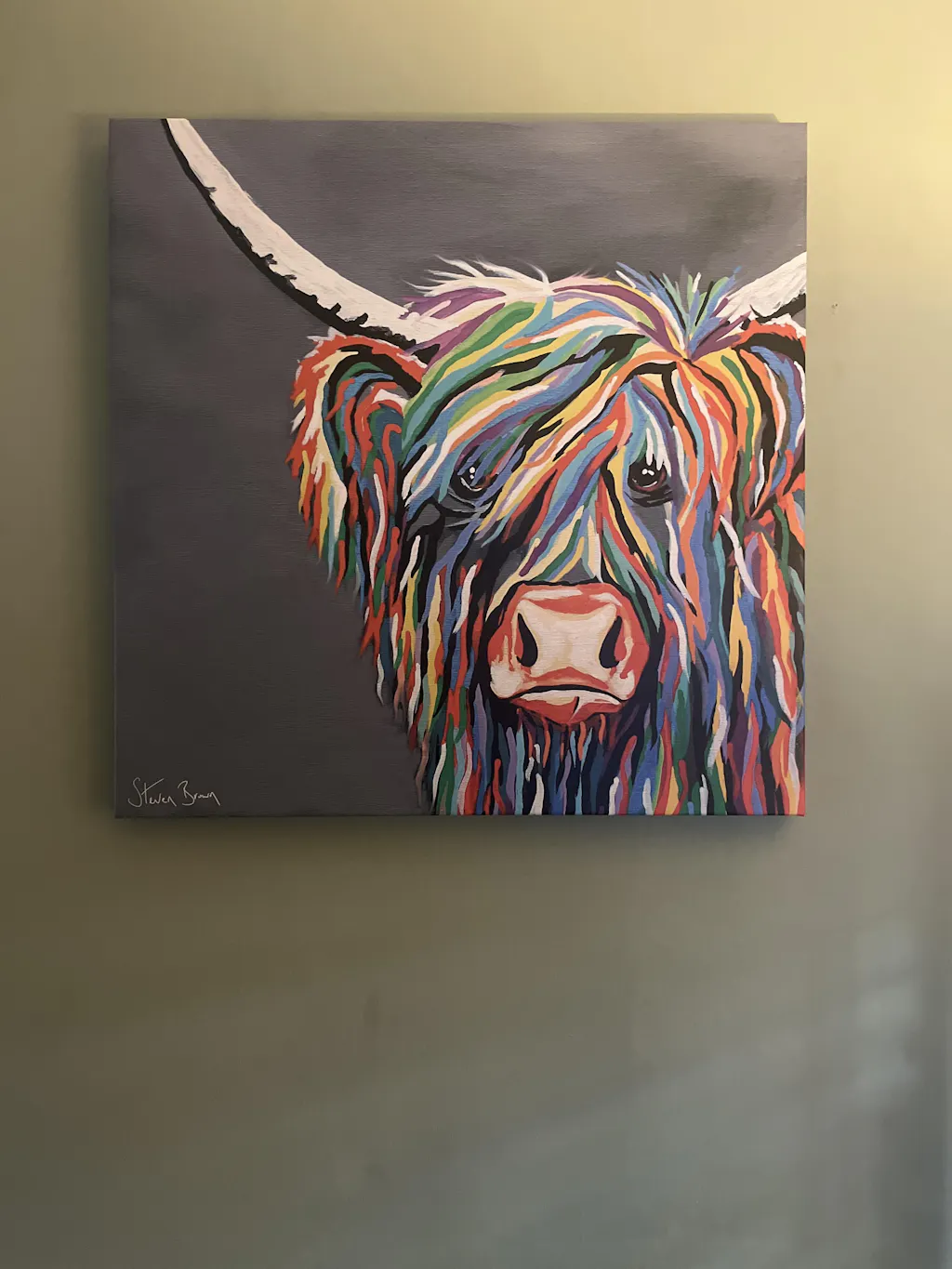 Rab McCoo Colourful Highland Cow Canvas | Steven Brown Art