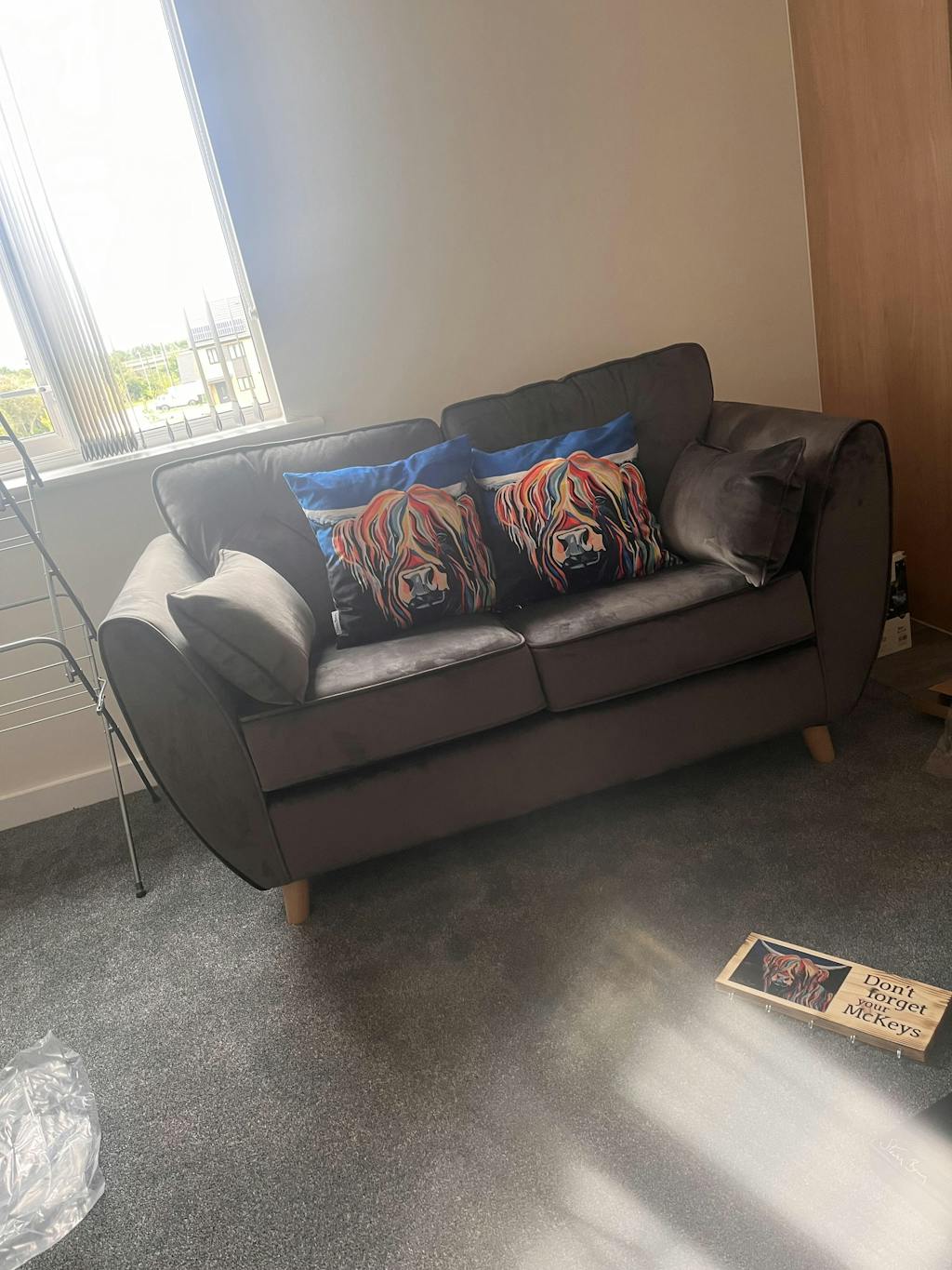 Harris McCoo - Highland Cow Cushions | Steven Brown Art