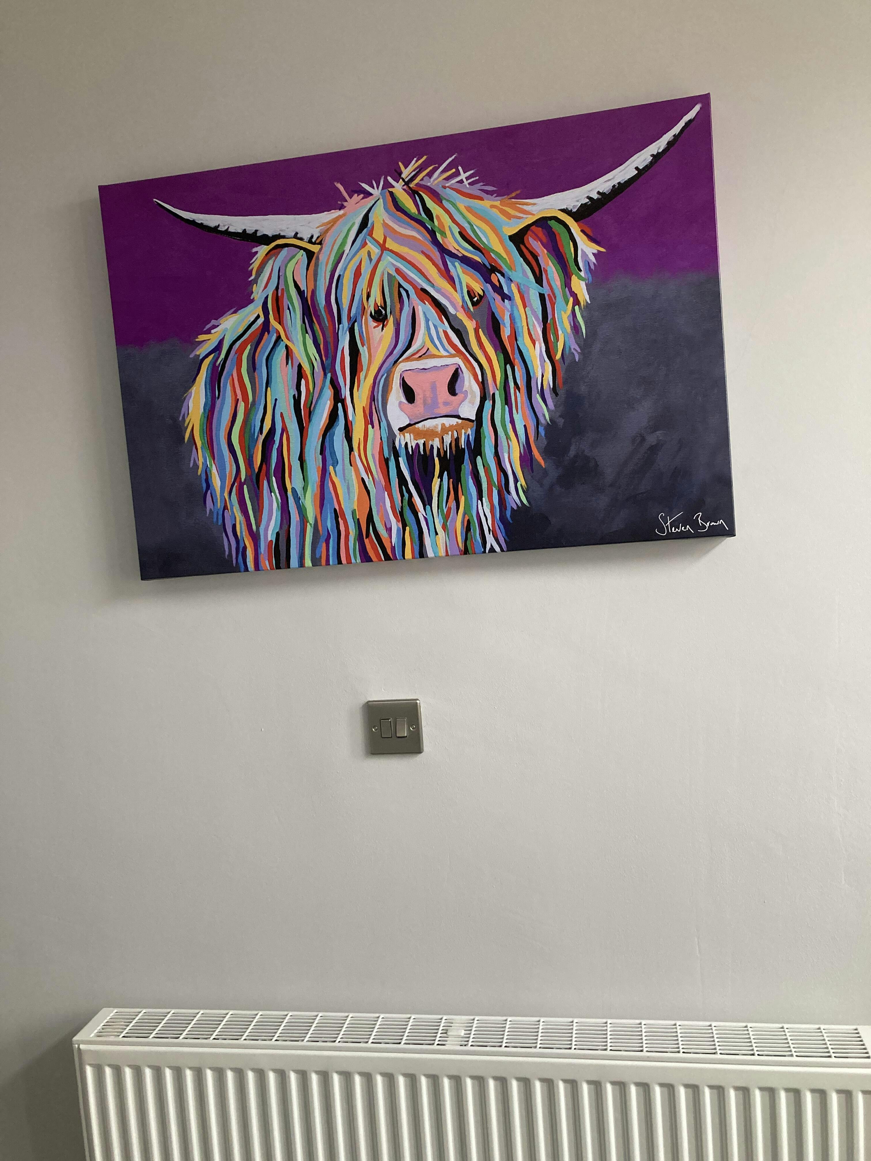 Highland Cow Art - Angus McCoo Canvas | Steven Brown Art