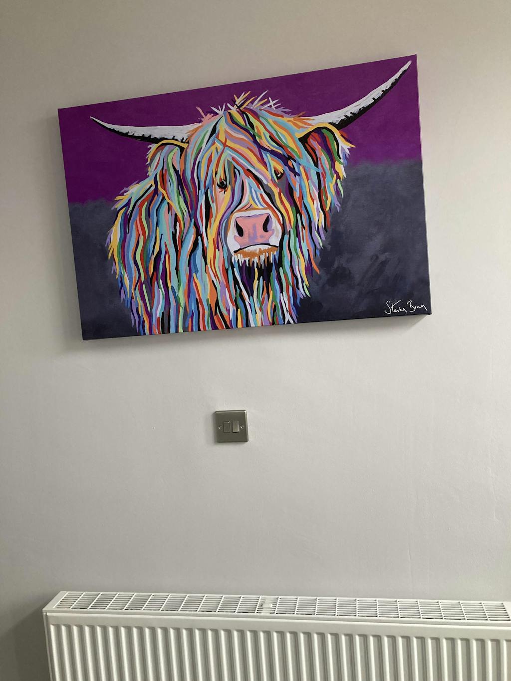Highland Cow Art - Angus McCoo Canvas | Steven Brown Art