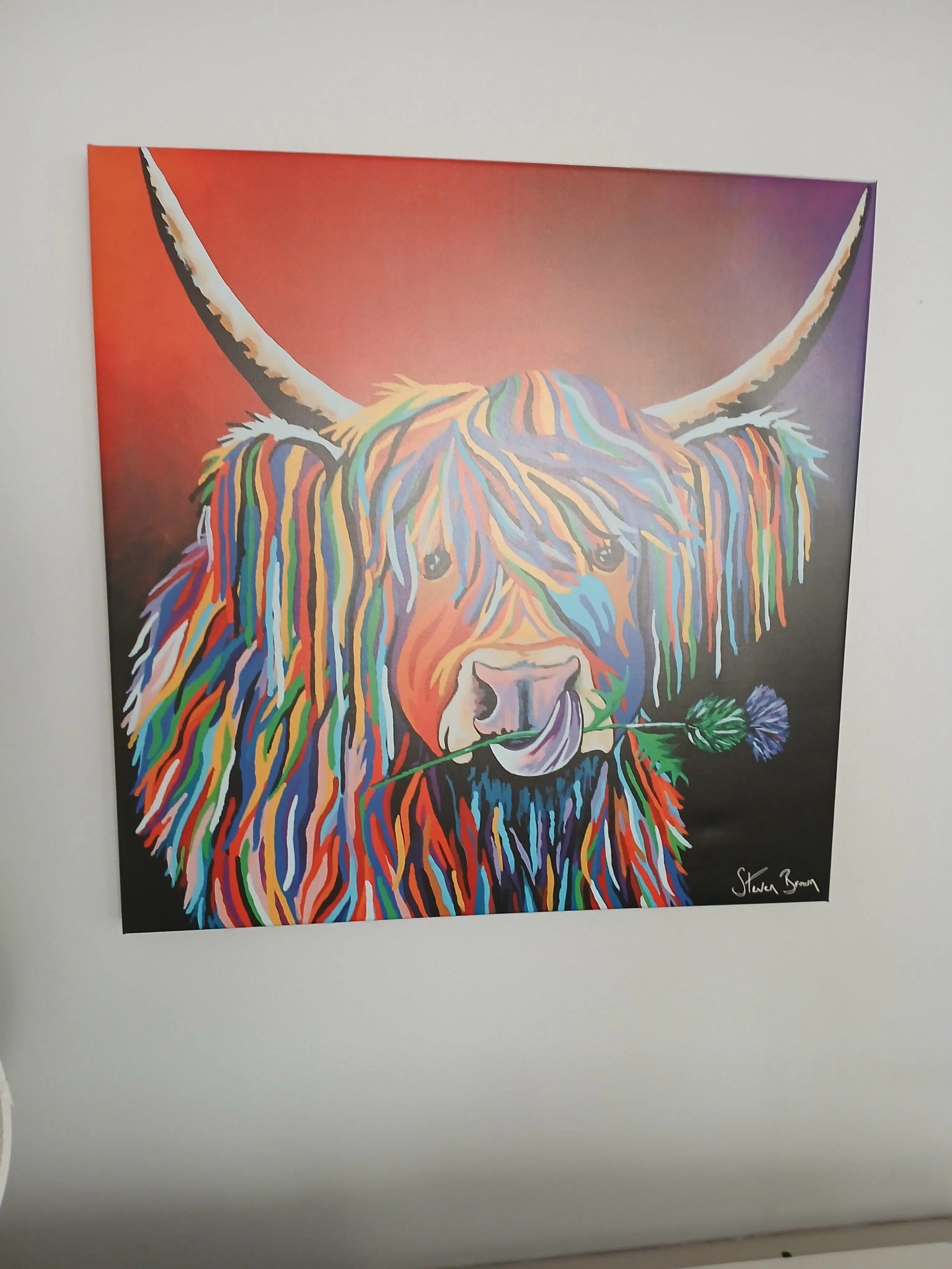 Colourful Highland Cow - Lizzie McCoo Canvas | Steven Brown Art