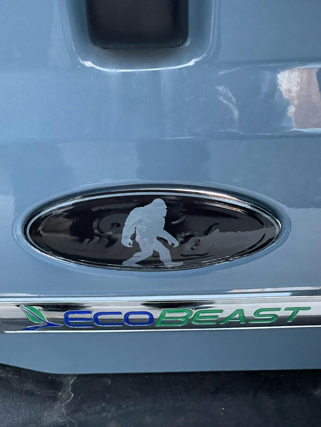 Printed Series Ford Bronco Rear Oval Emblem Overlays (Full Print) - 20 ...