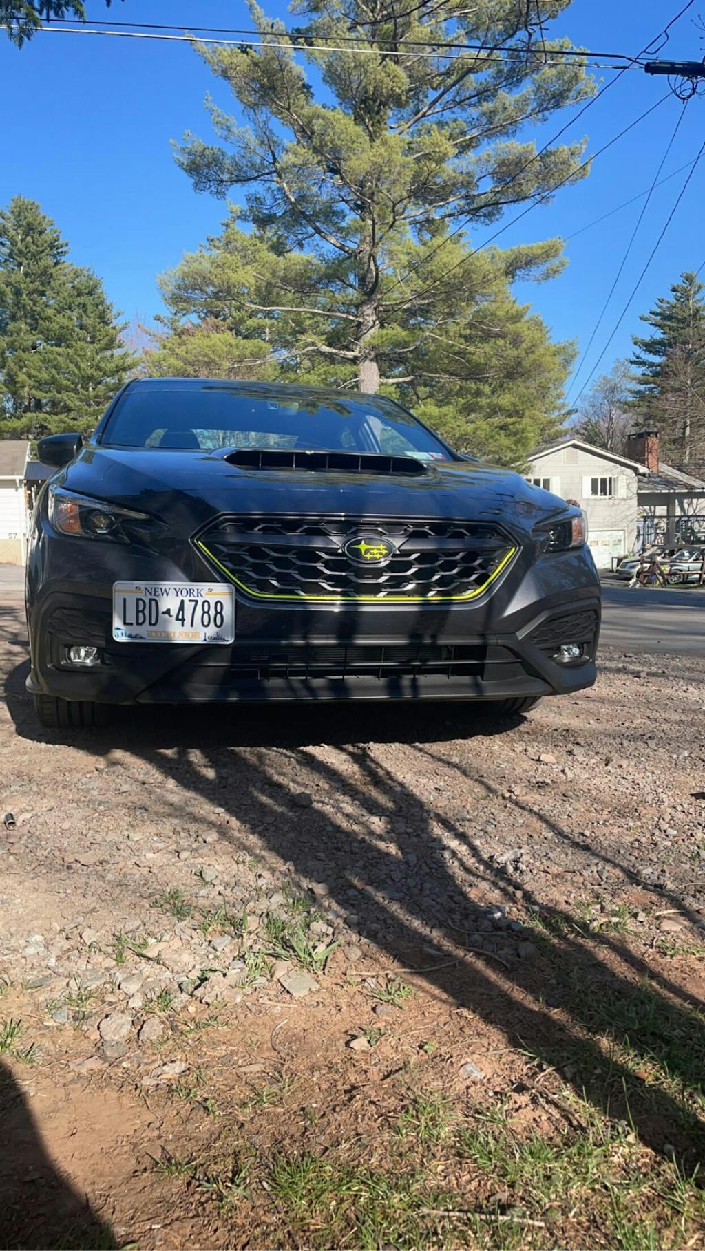 JDM Style Grille Pinstripe - 2022+ WRX | StickerFab