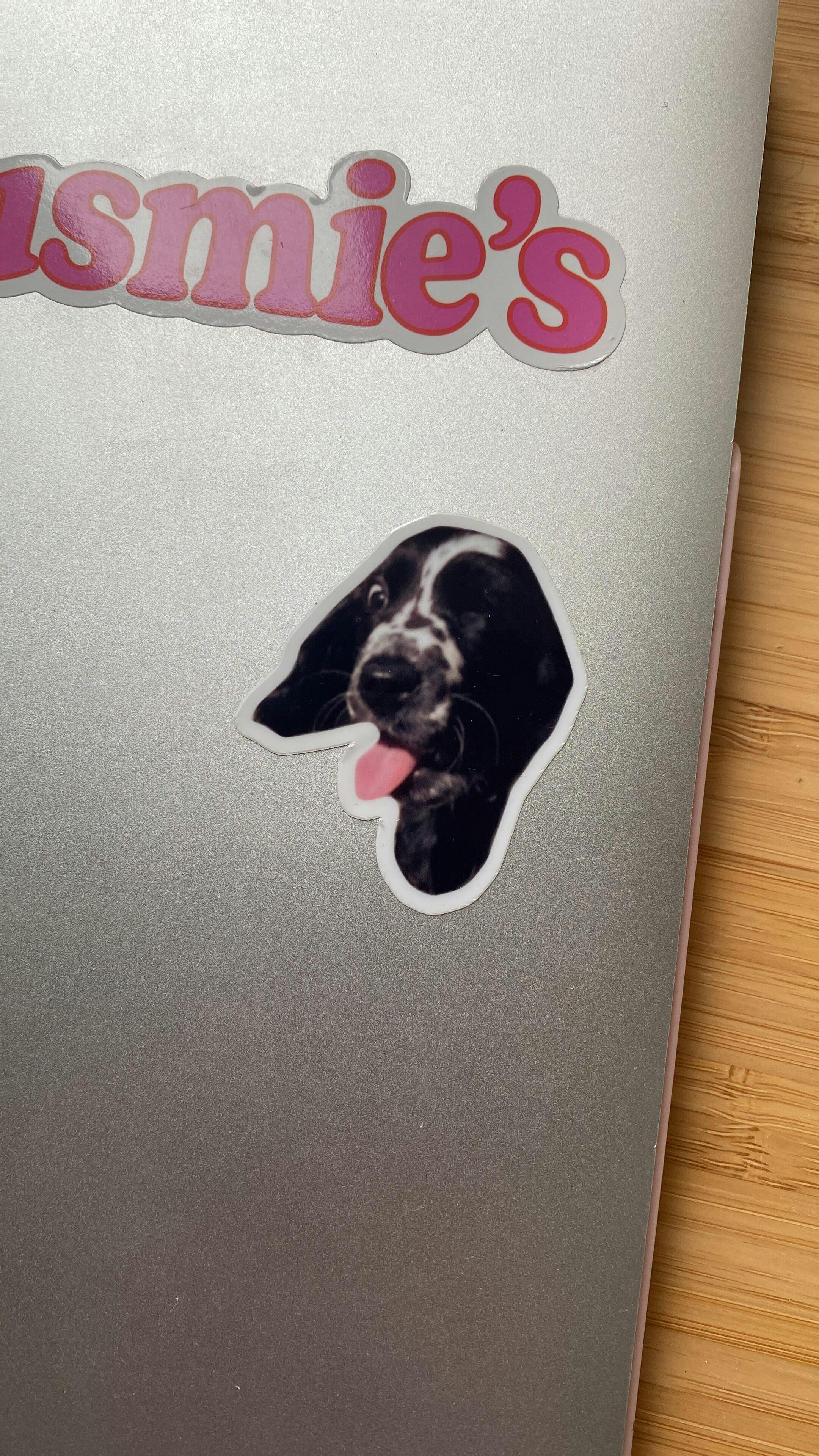 Stickers personnalisés animaux de compagnies (Chien, chat, NAC ...