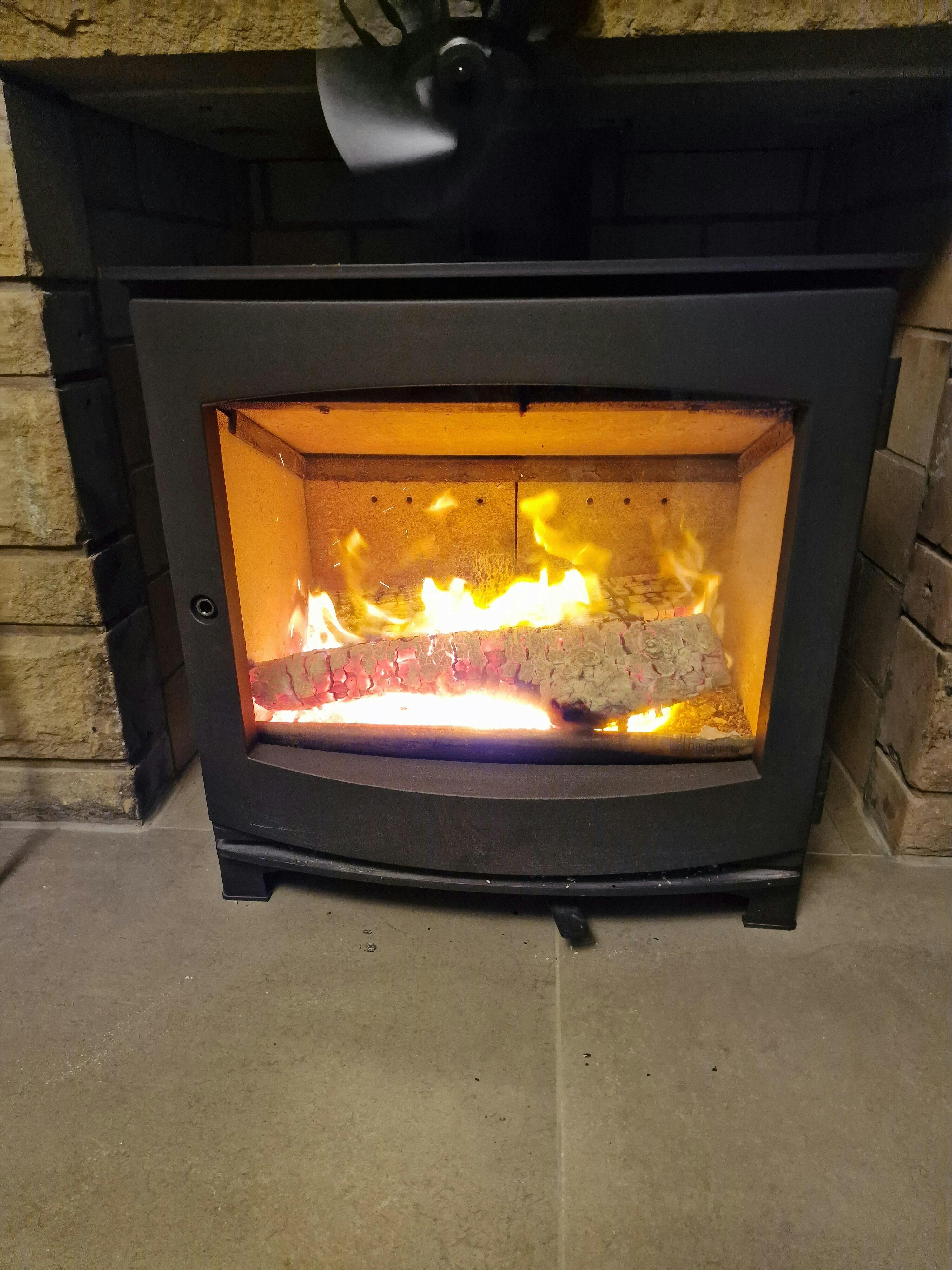 Dik Geurts Ivar 5 Wood Burning Stove 5kW (multifuel via kit ...