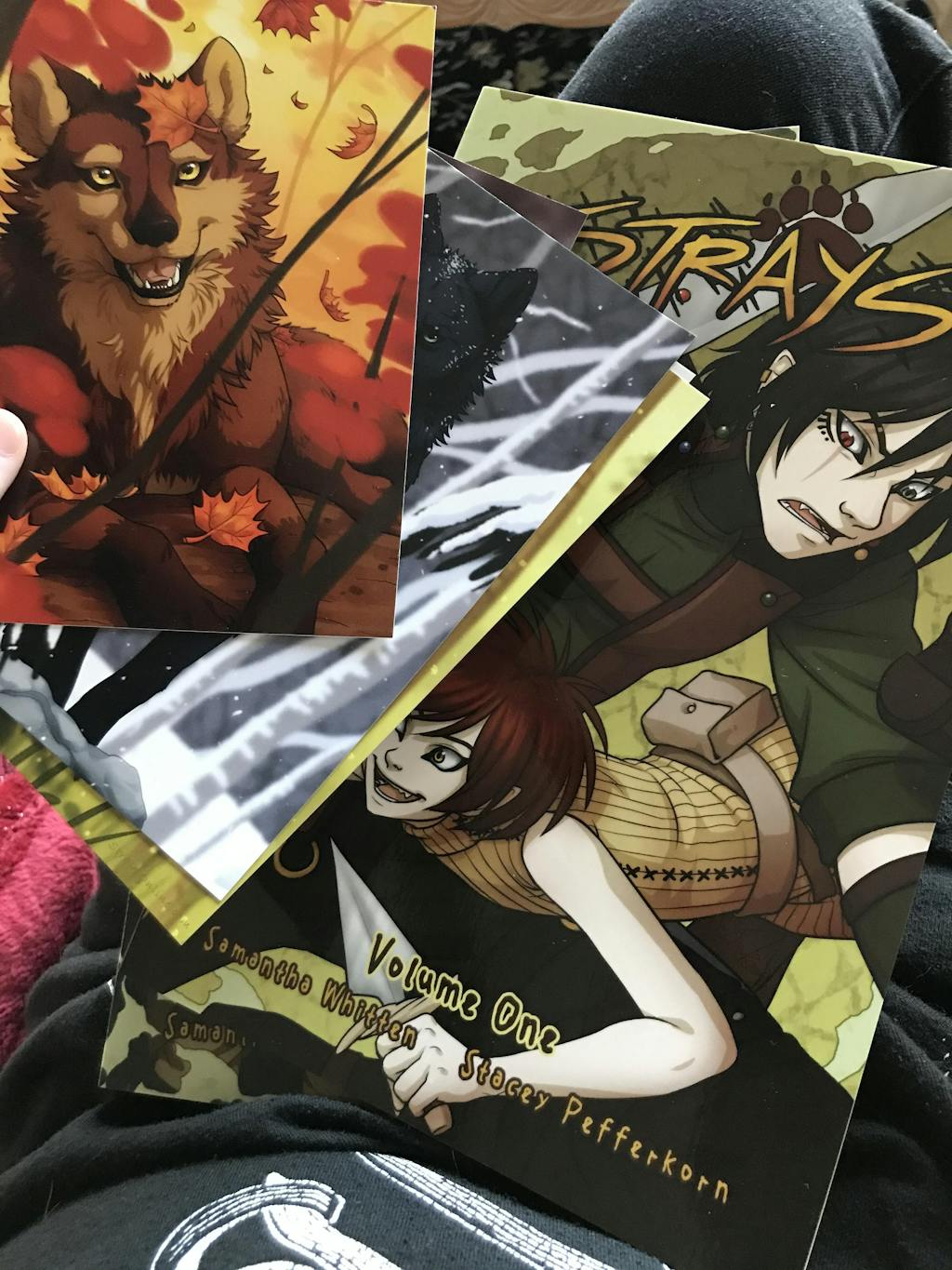 Strays Graphic Novel Books – Sugar Bunny Shop