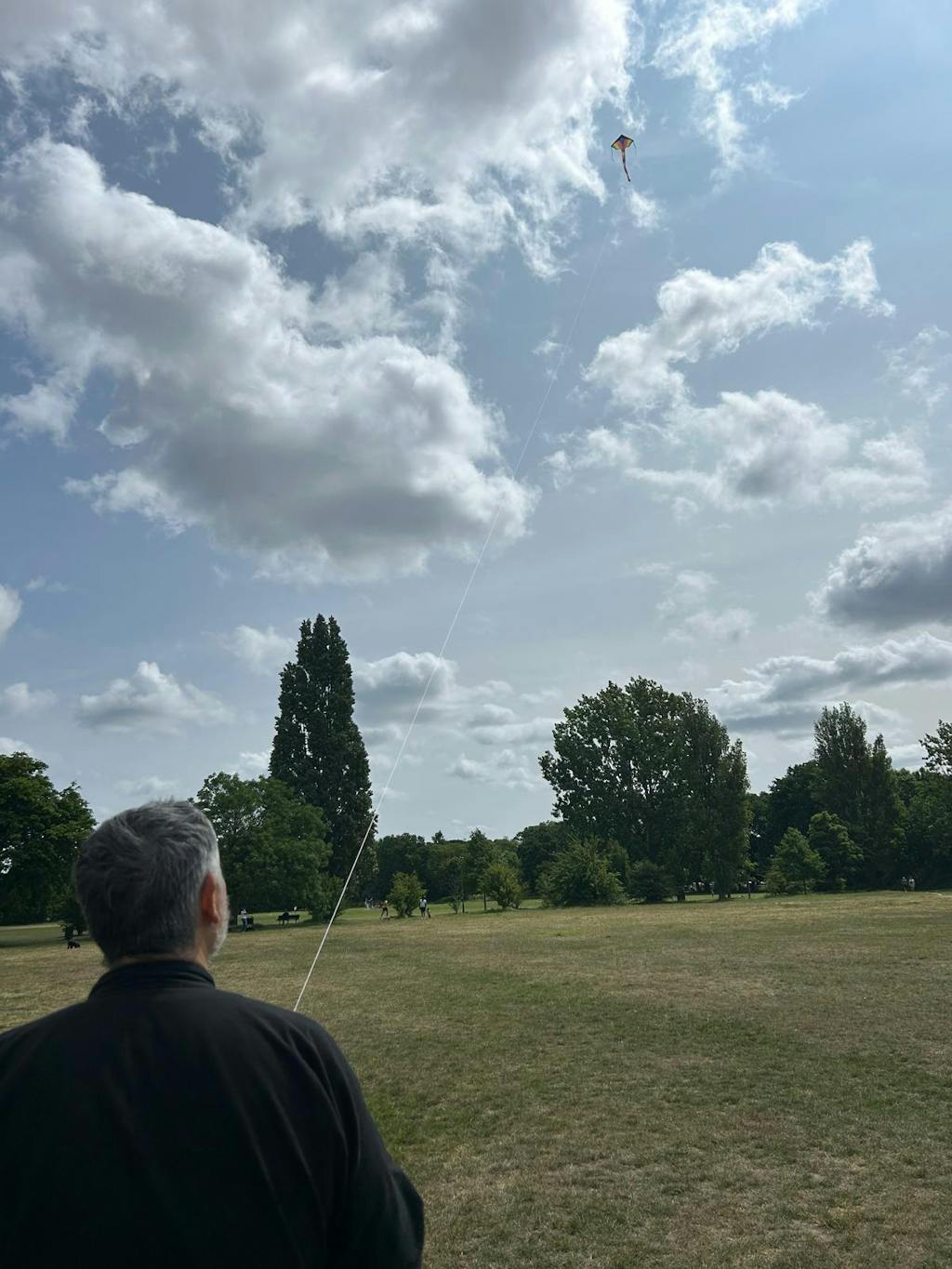 Step by Step Guide to Assembling Your Kite: Tips for a Safe and Fun Ex ...