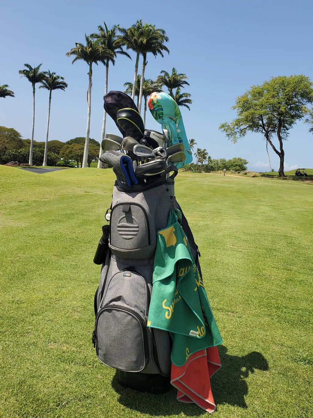 THE BIG RIG | Cart Bag - Heather Gray – Sunday Golf