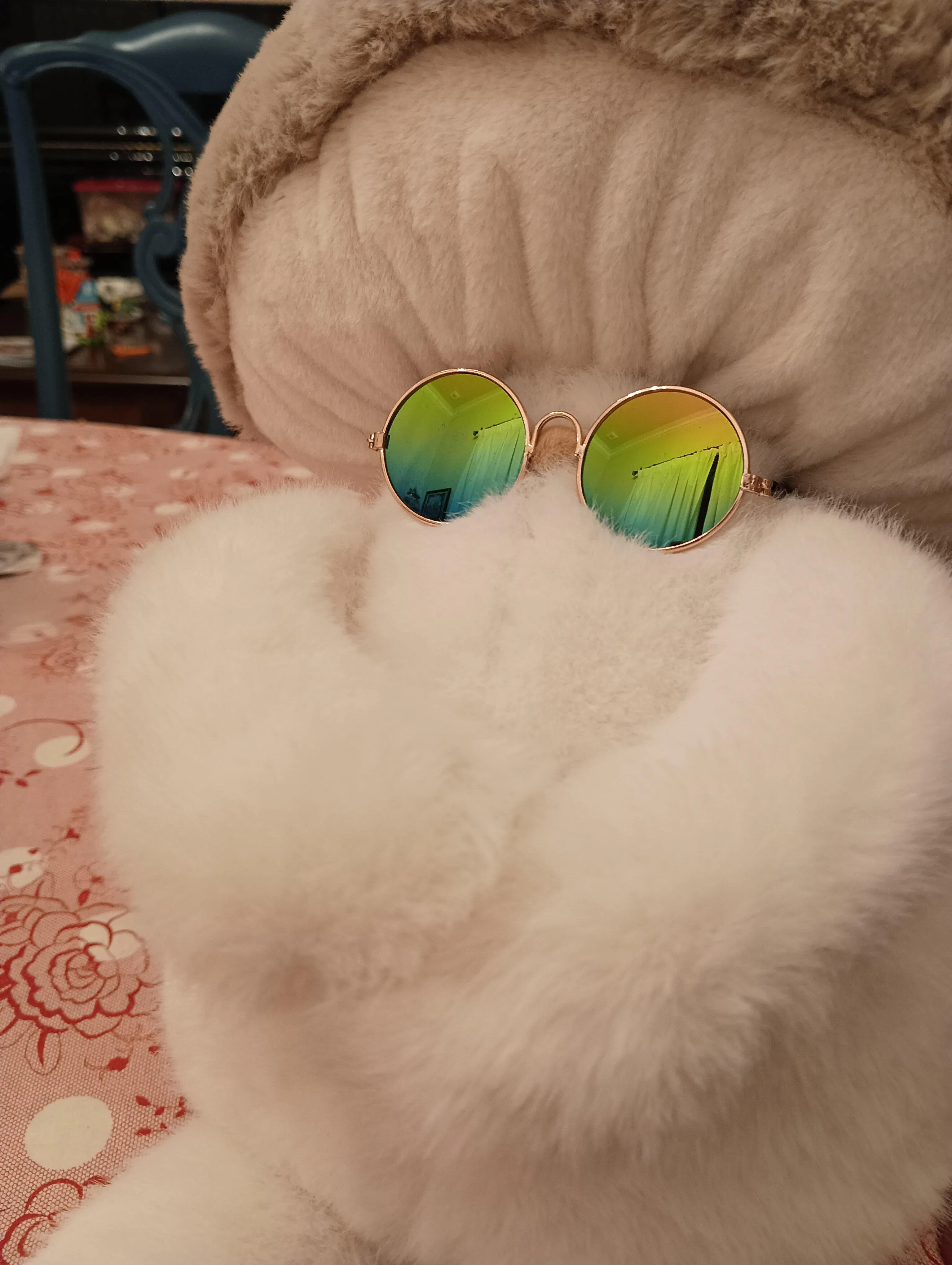 Mushmello – Sunnymore Toy