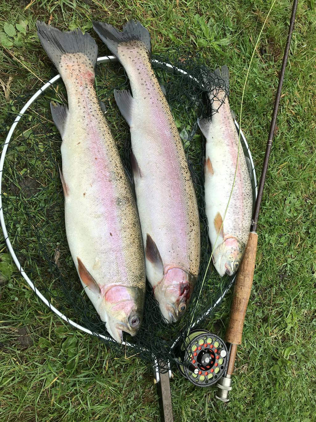 Fly Line Dressing - Sunray Lineslik Line Treatment