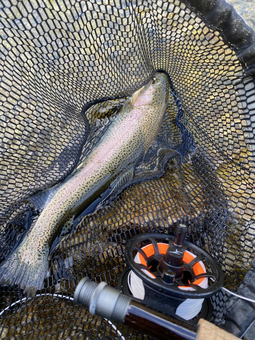 EZ Back Cast Floating Fly Line with Overhang Marker®️ | Sunray Fly Line ...