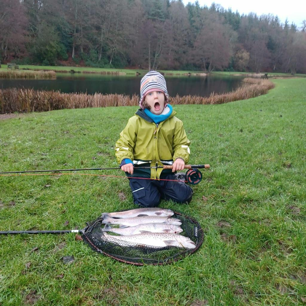 Sunray Proline Fly Line | Fly Lines For Professionals | Stillwater ...