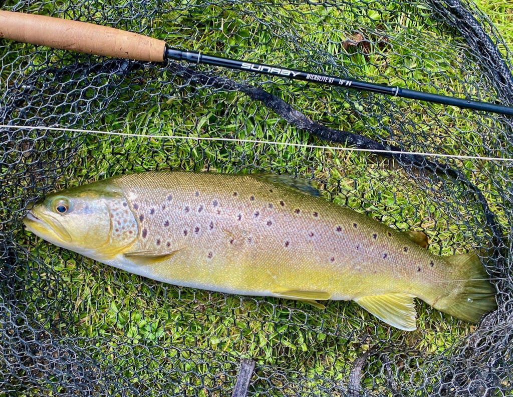 Sunray Proline Fly Line | Fly Lines For Professionals | Stillwater ...