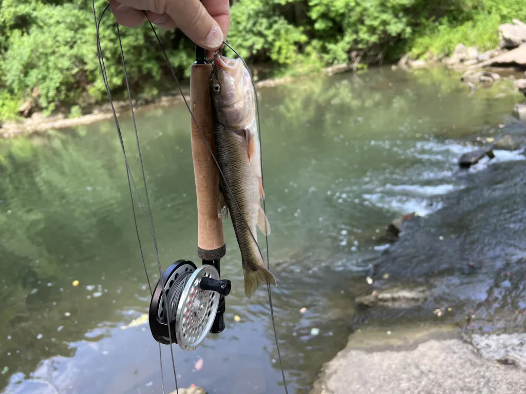 Dry Fly Floating Fly Line - Sunray Short Medium Range Micro Thin Dry Fly