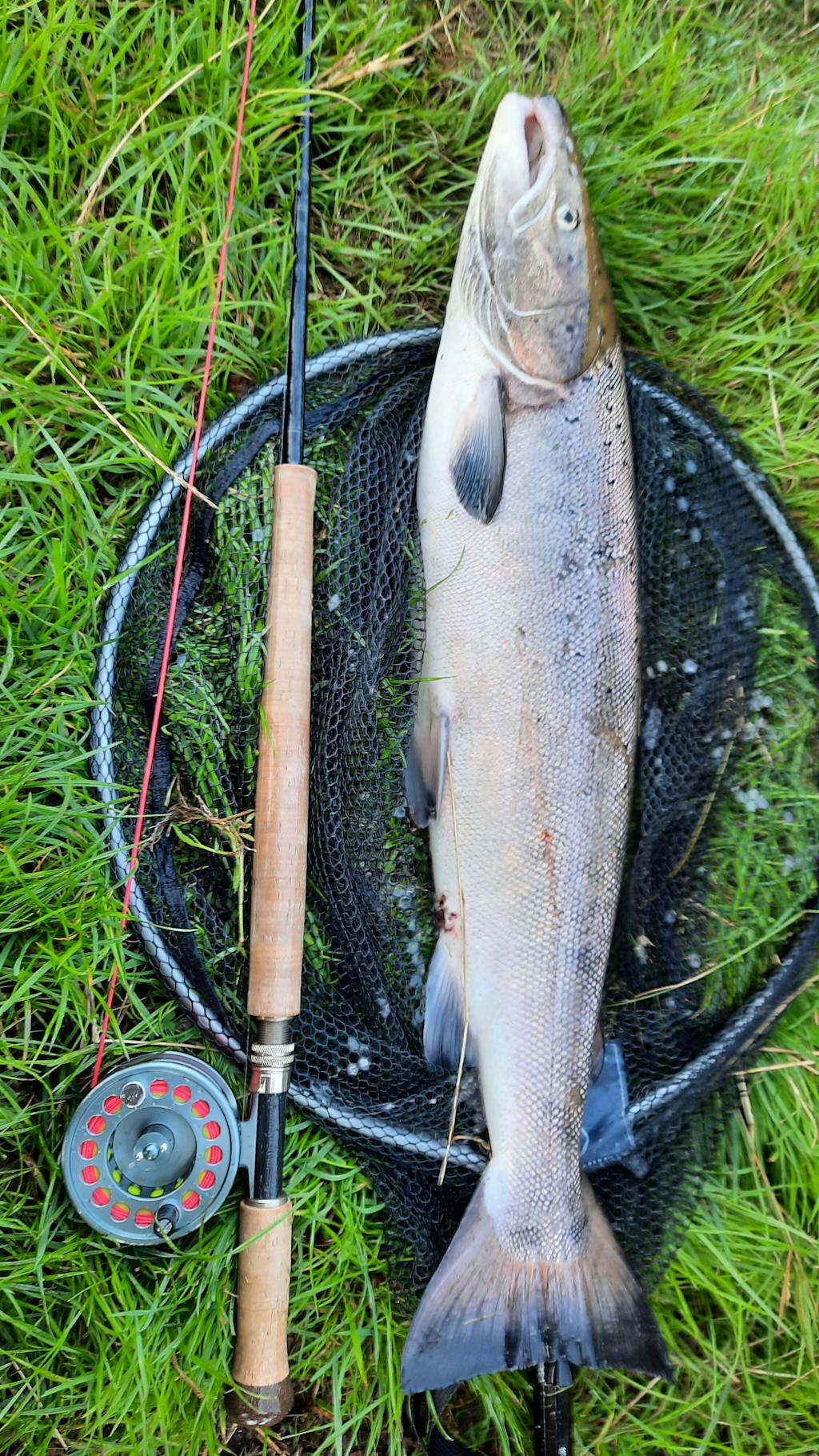 Sunray Proline Fly Line | Fly Lines For Professionals | Stillwater ...