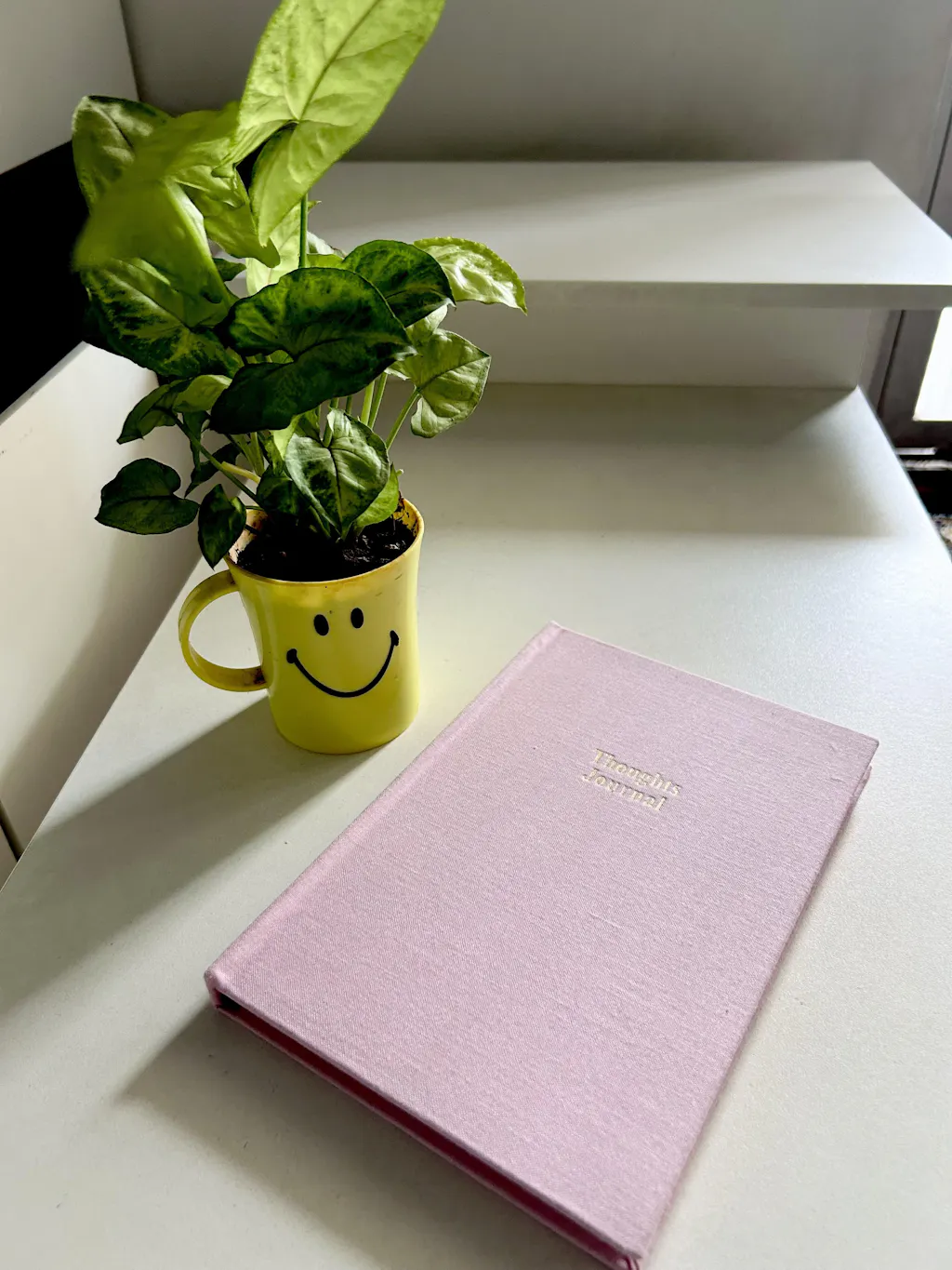 Thoughts Journal: Perfect for Your Everyday Notes – Sunshine Club