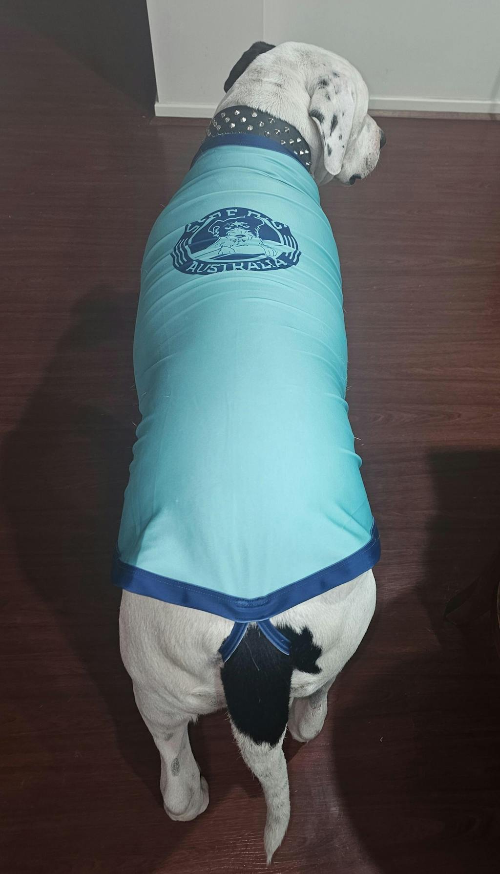 Dog Rashies by Surfdog Australia - UV protection shirts for dogs