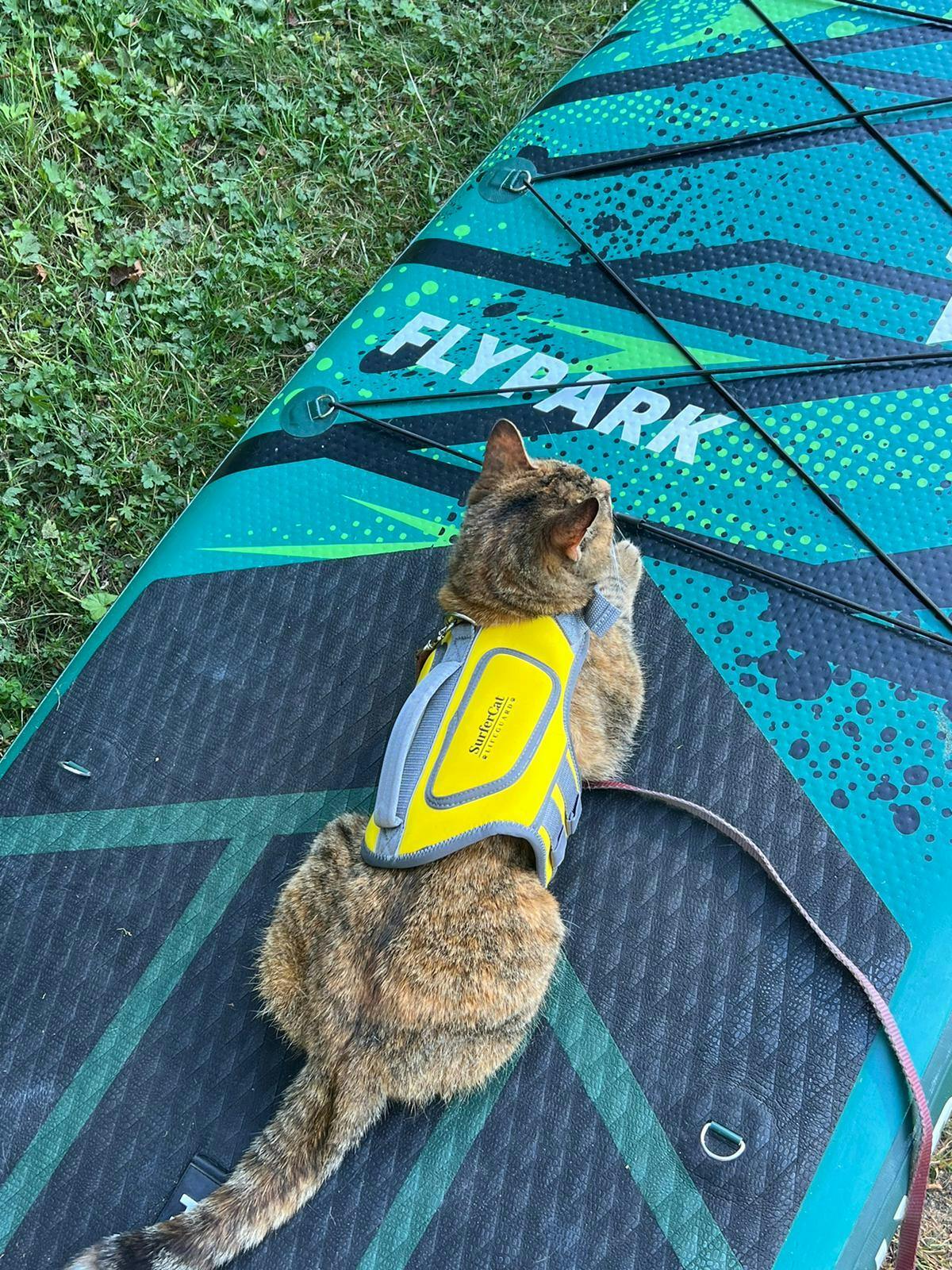 SurferCat Life Jackets