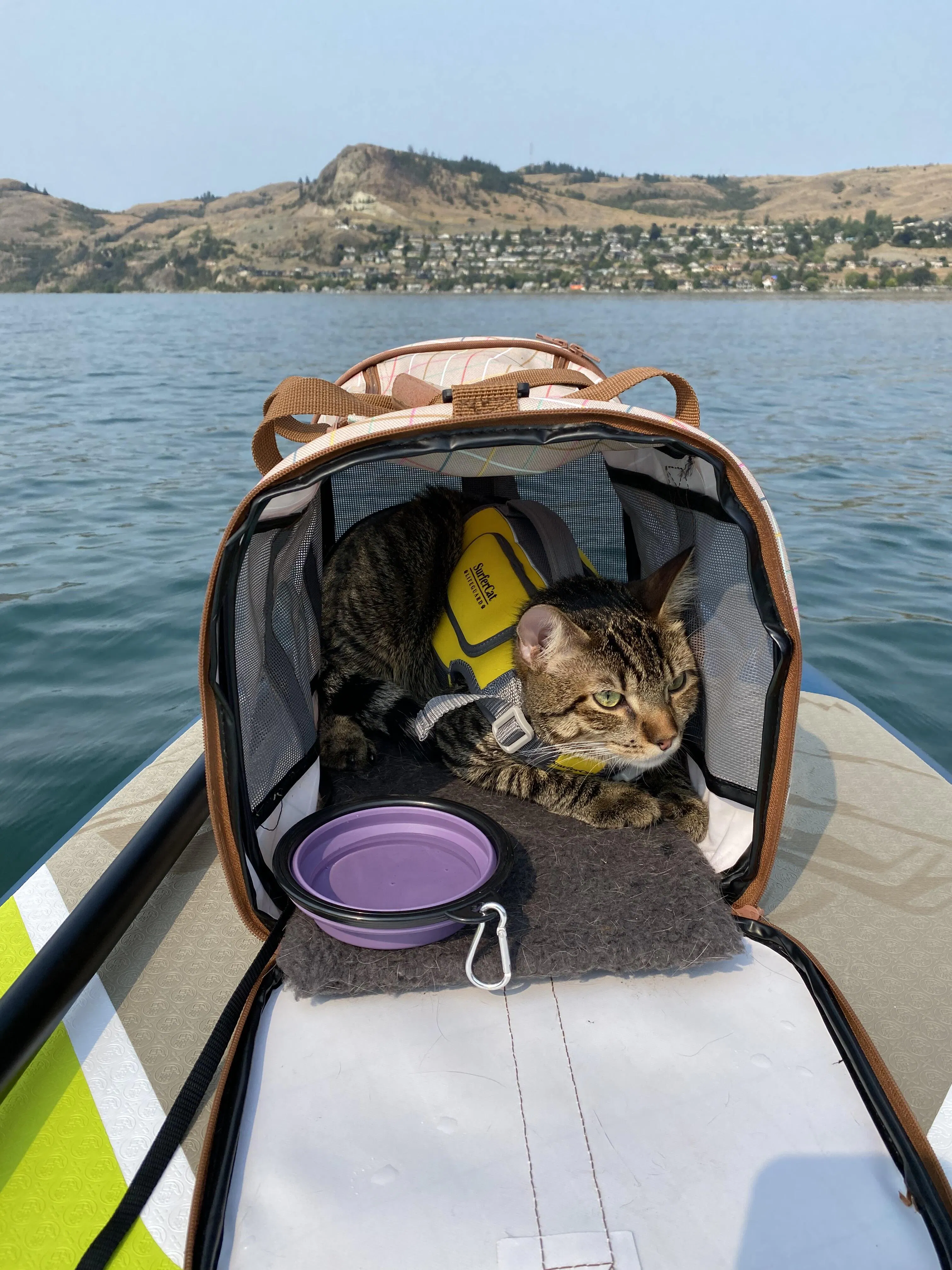 SurferCat Life Jackets