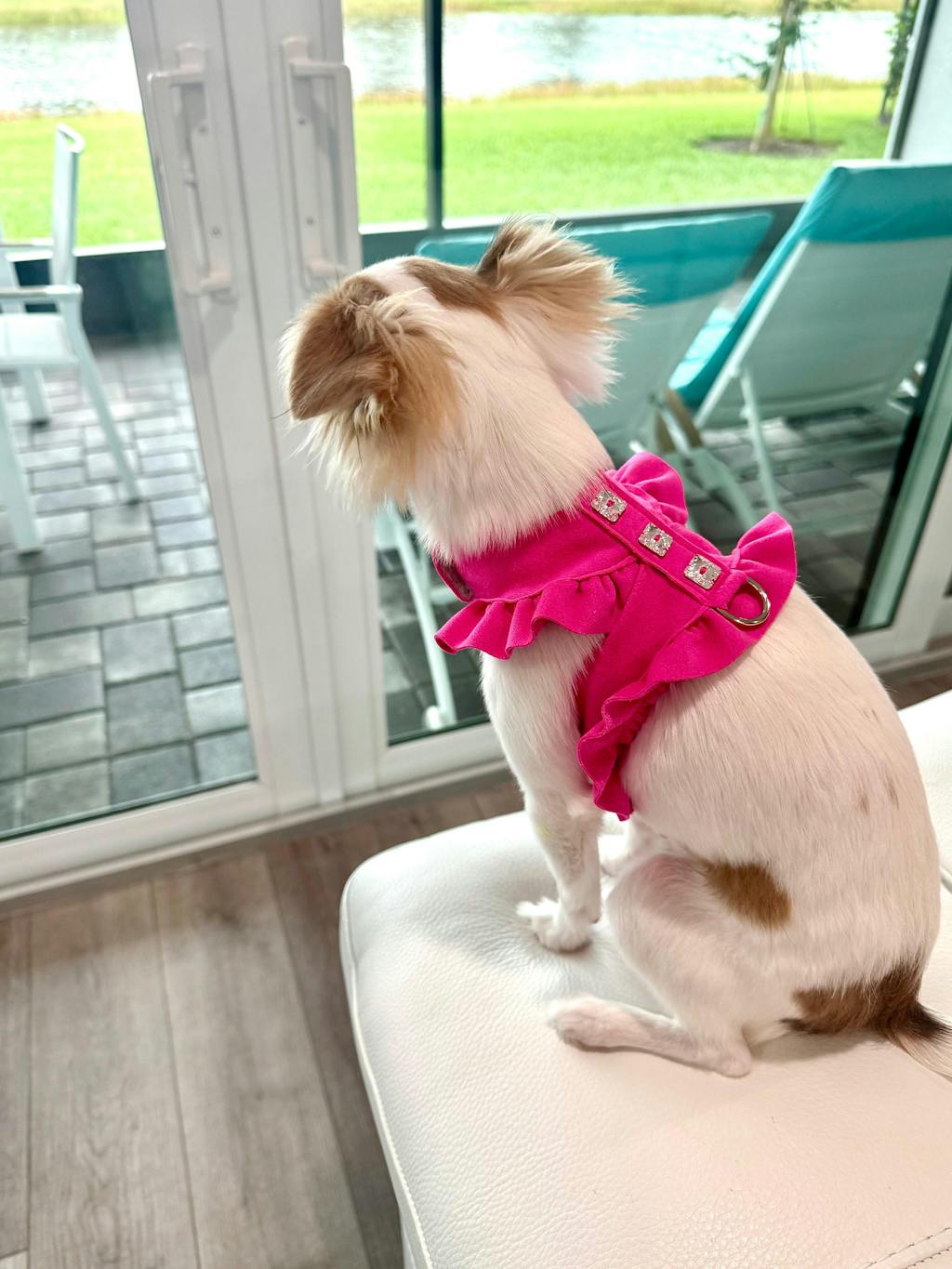 Glen Houndstooth Tinkie Harness