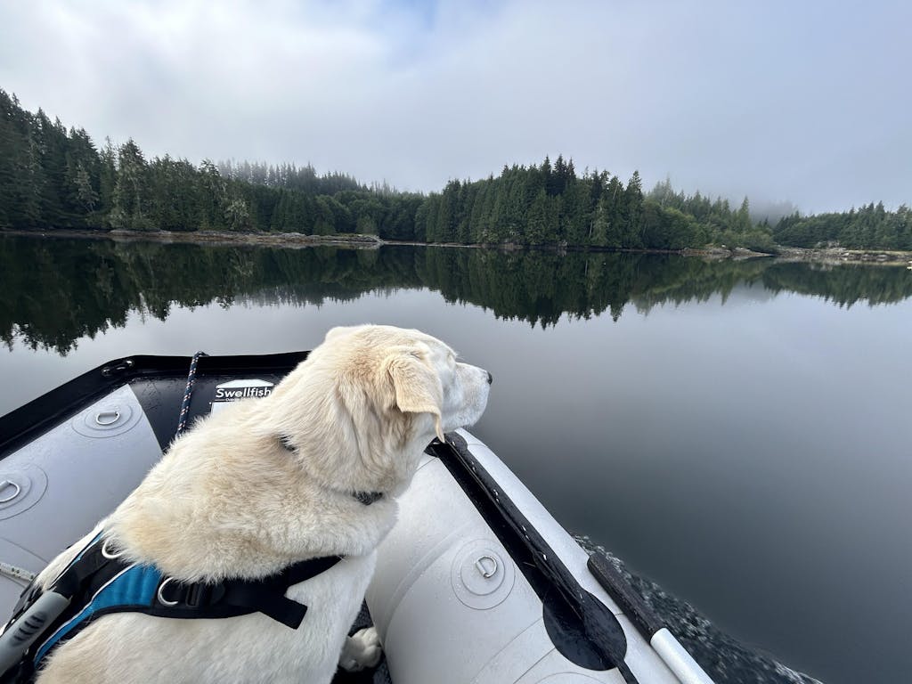 FS Ultralight Inflatable Boat – Swellfish Outdoor Equipment