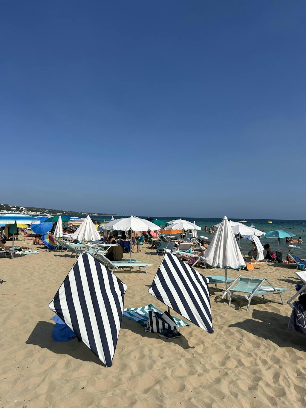 Swim Shady | Fresh Swim Shady