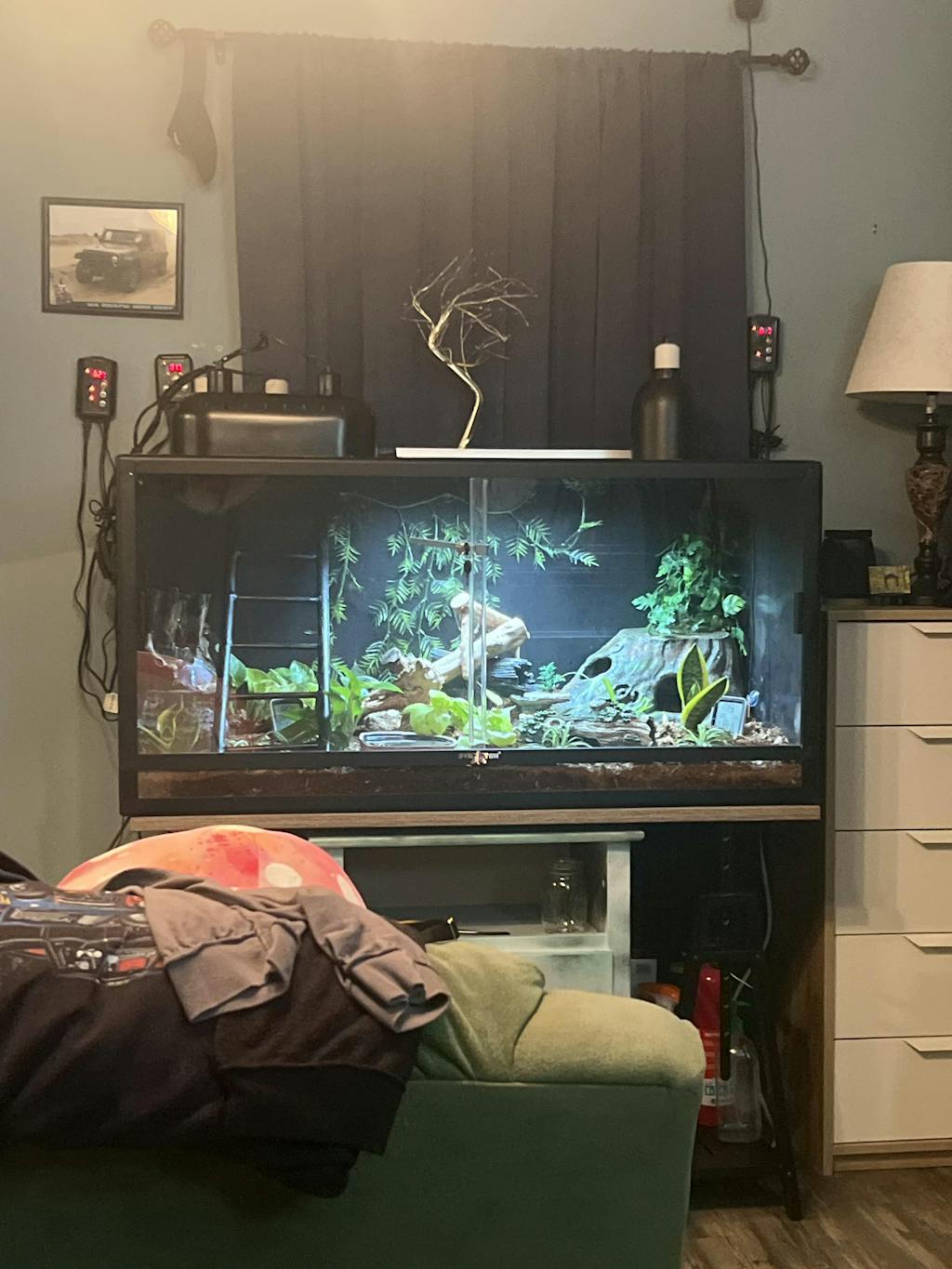 120 Gallon Reptile Enclosure (4’x2’x2’) – Symton® Black Soldier Fly